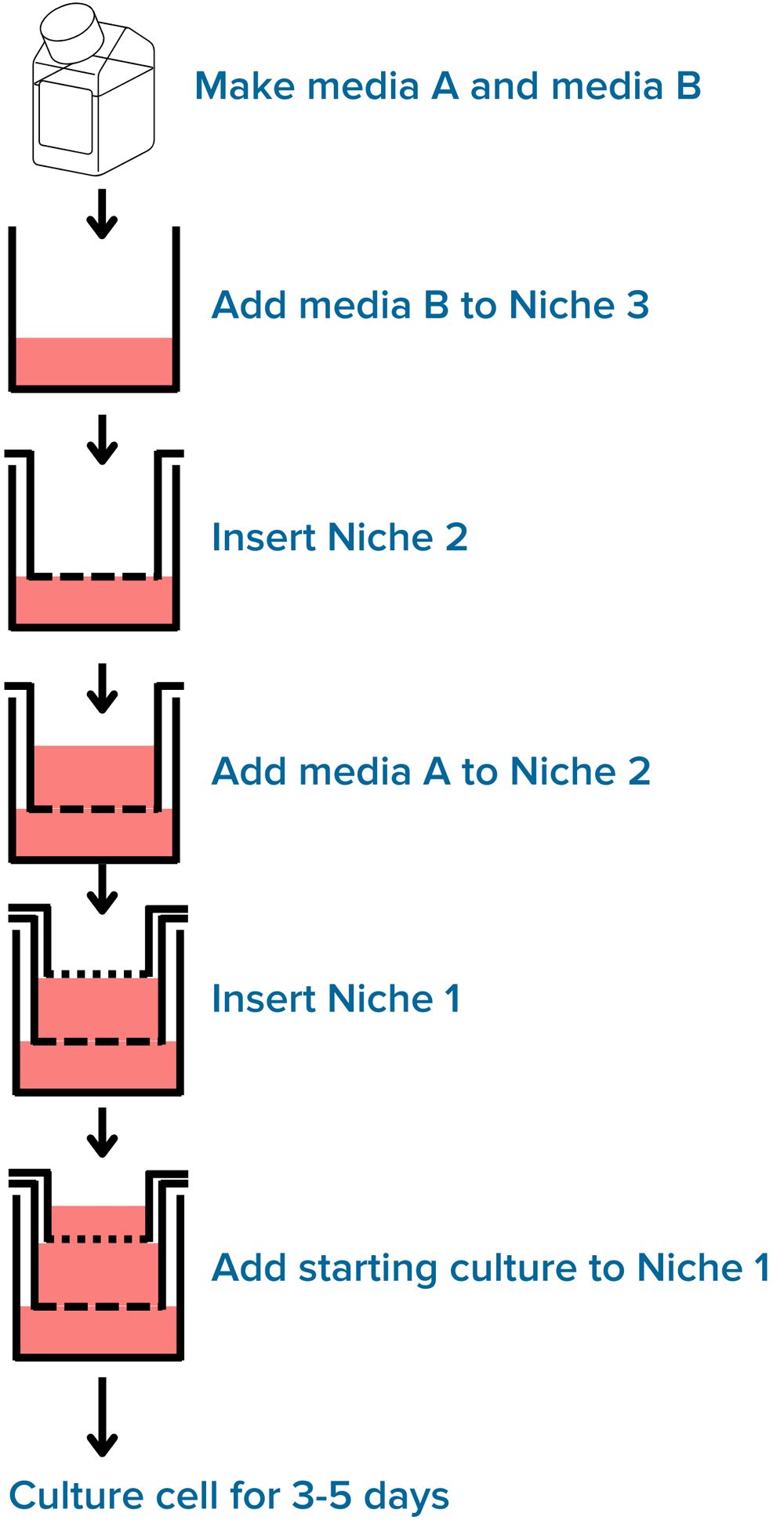 CoED Products — Growing Effective Effector Cells
