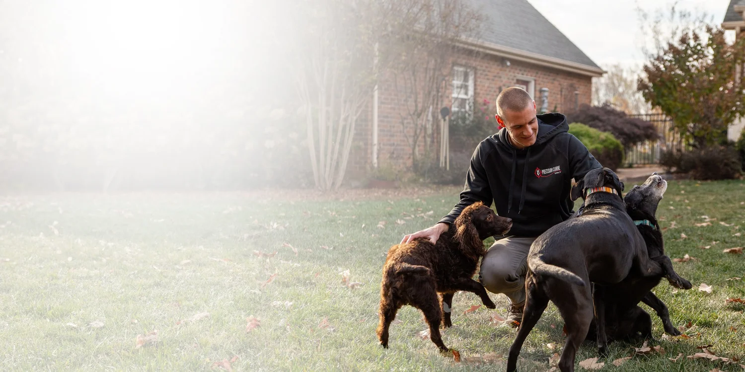 Precision Canine | Dog Training | Lynchburg & Central Virginia
