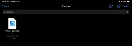 Step-by-step guide on importing Adobe Photoshop brushes in Procreate app on iPad