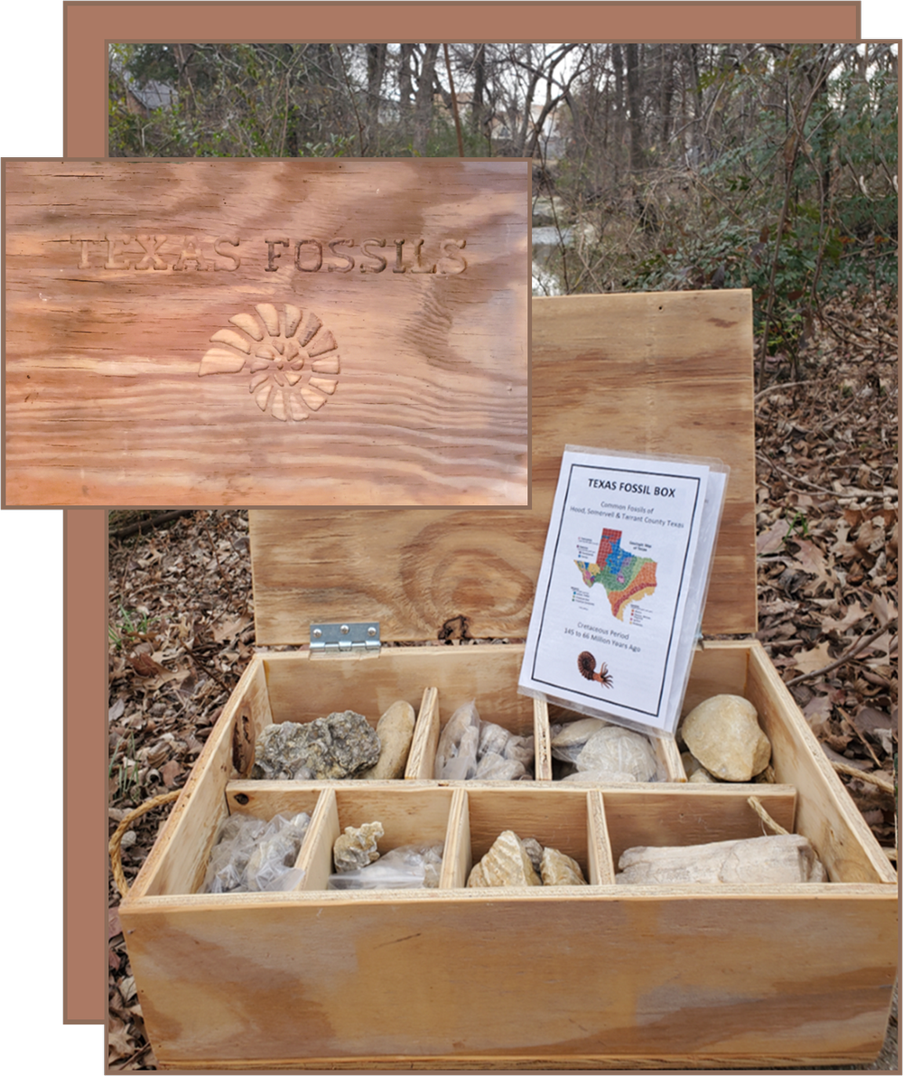 Cedar Hill Museum of History