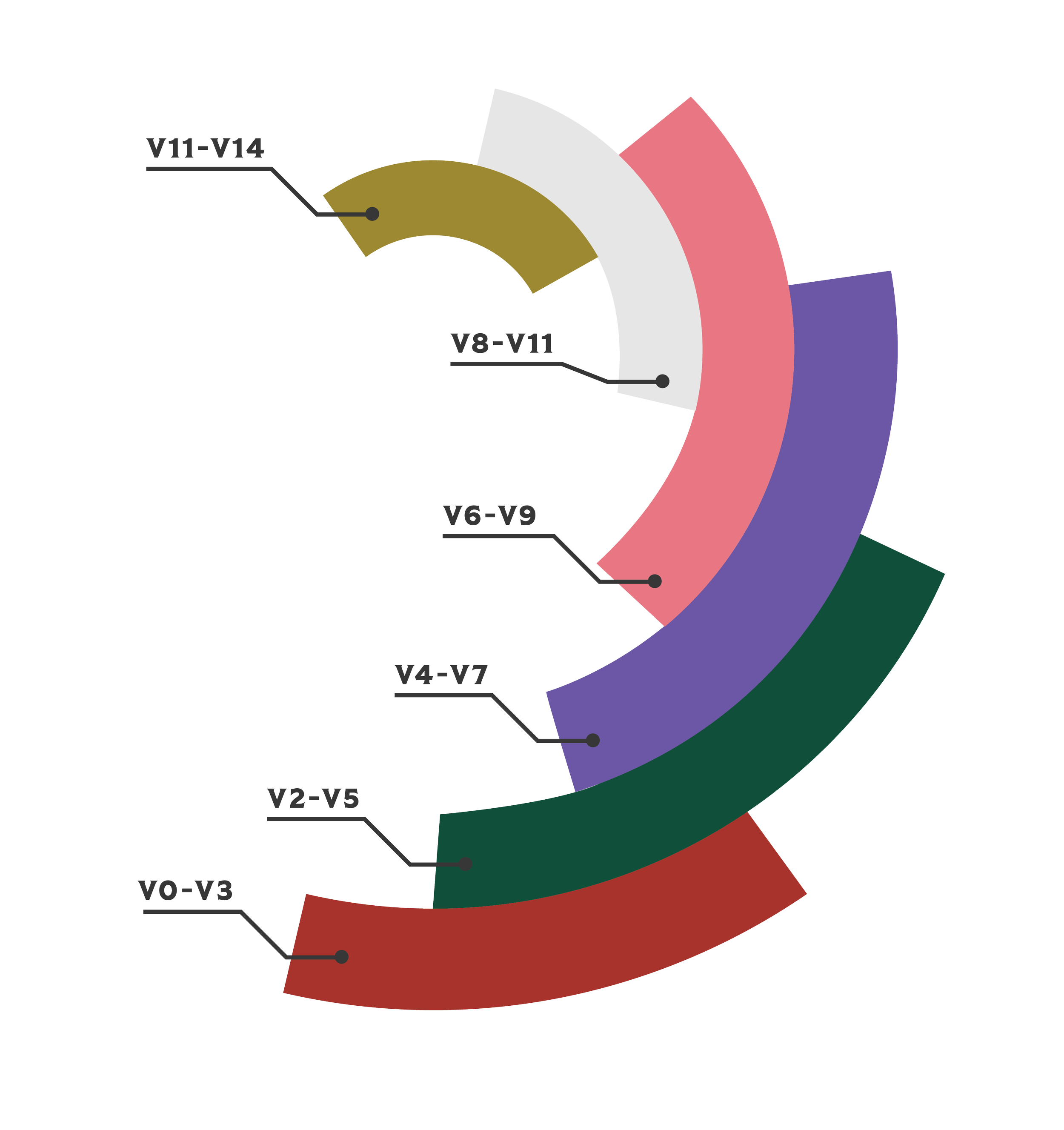 Climb More — Boulder Union