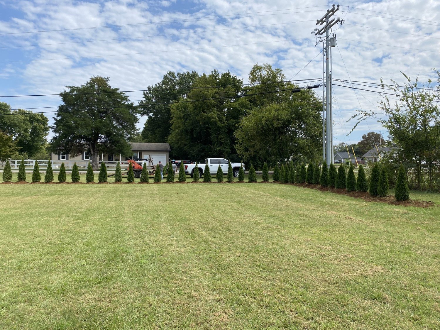 Mccorkle Landscaping Services | Miles of Trees - RFQ Today!