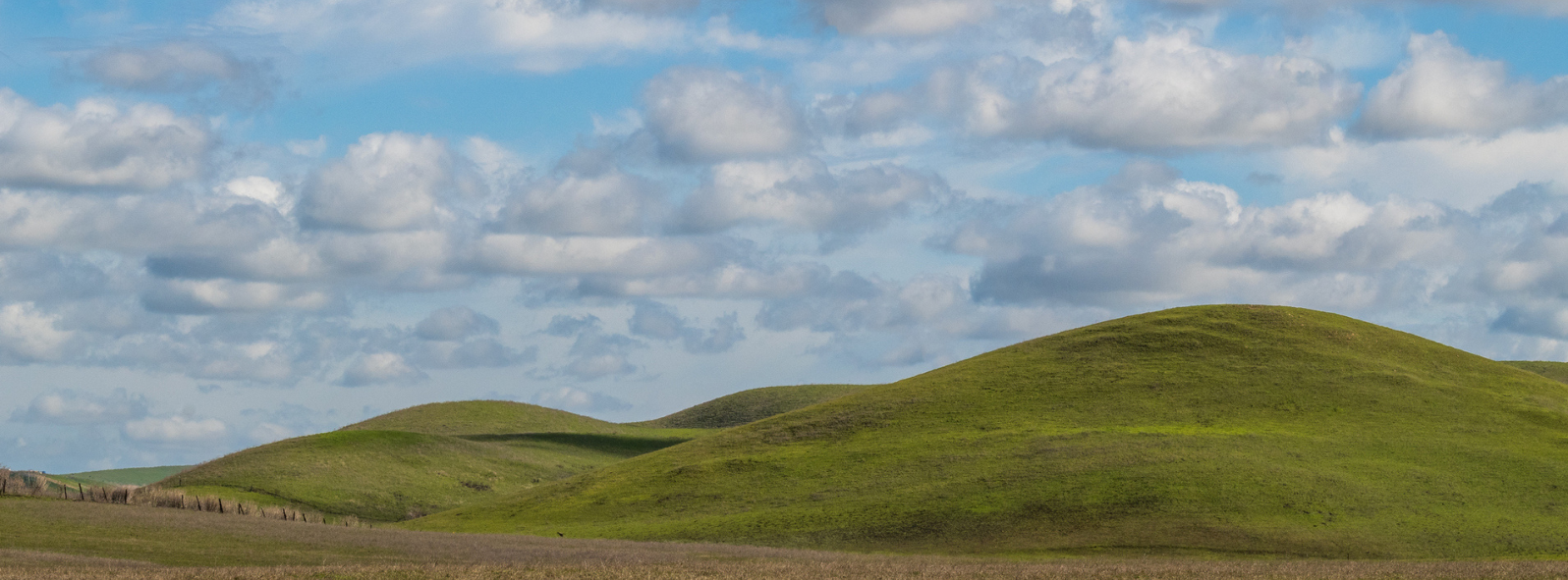 Donate — Solano Center