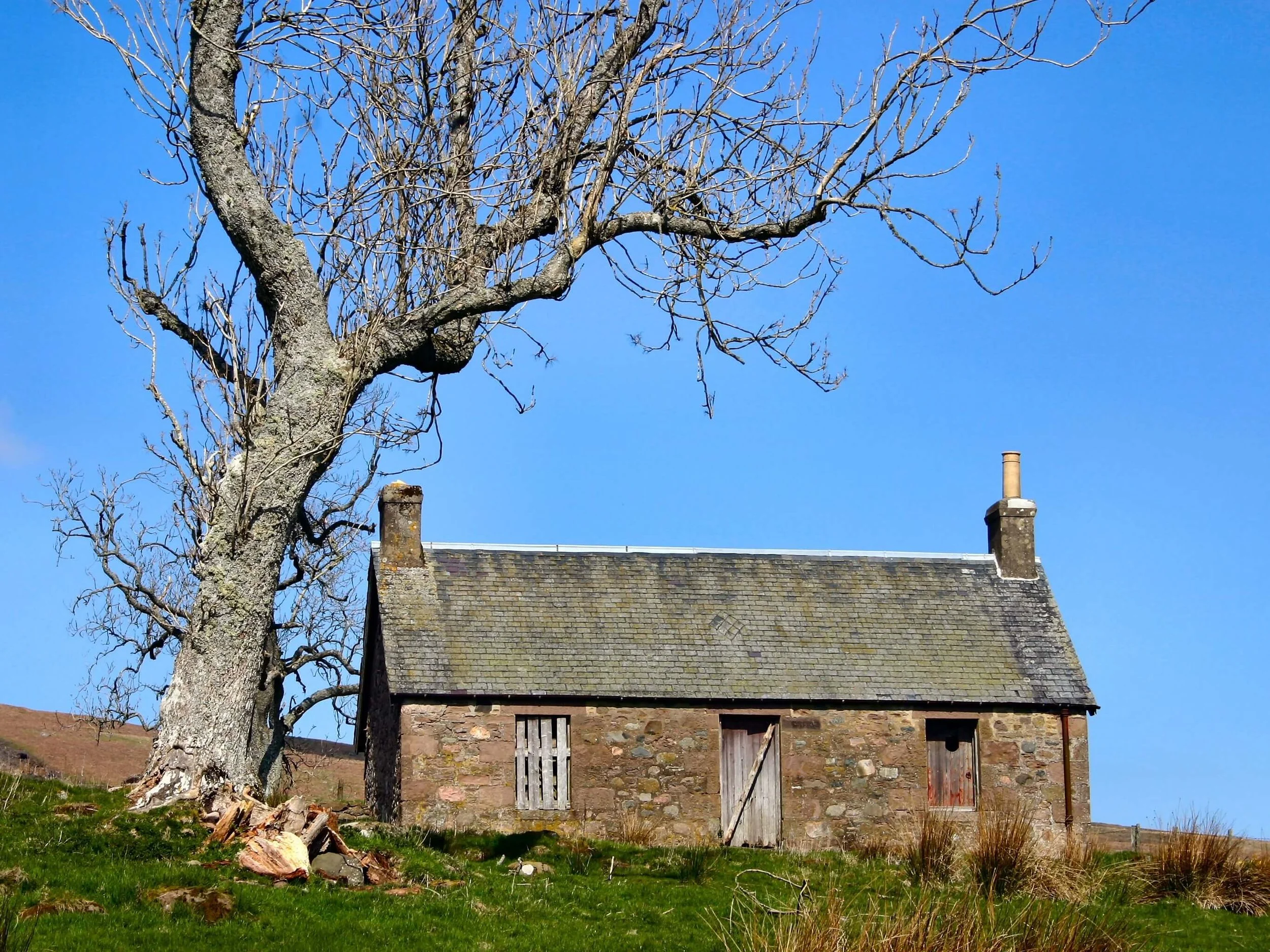 Memberships & Related Details — Clan Anderson Society