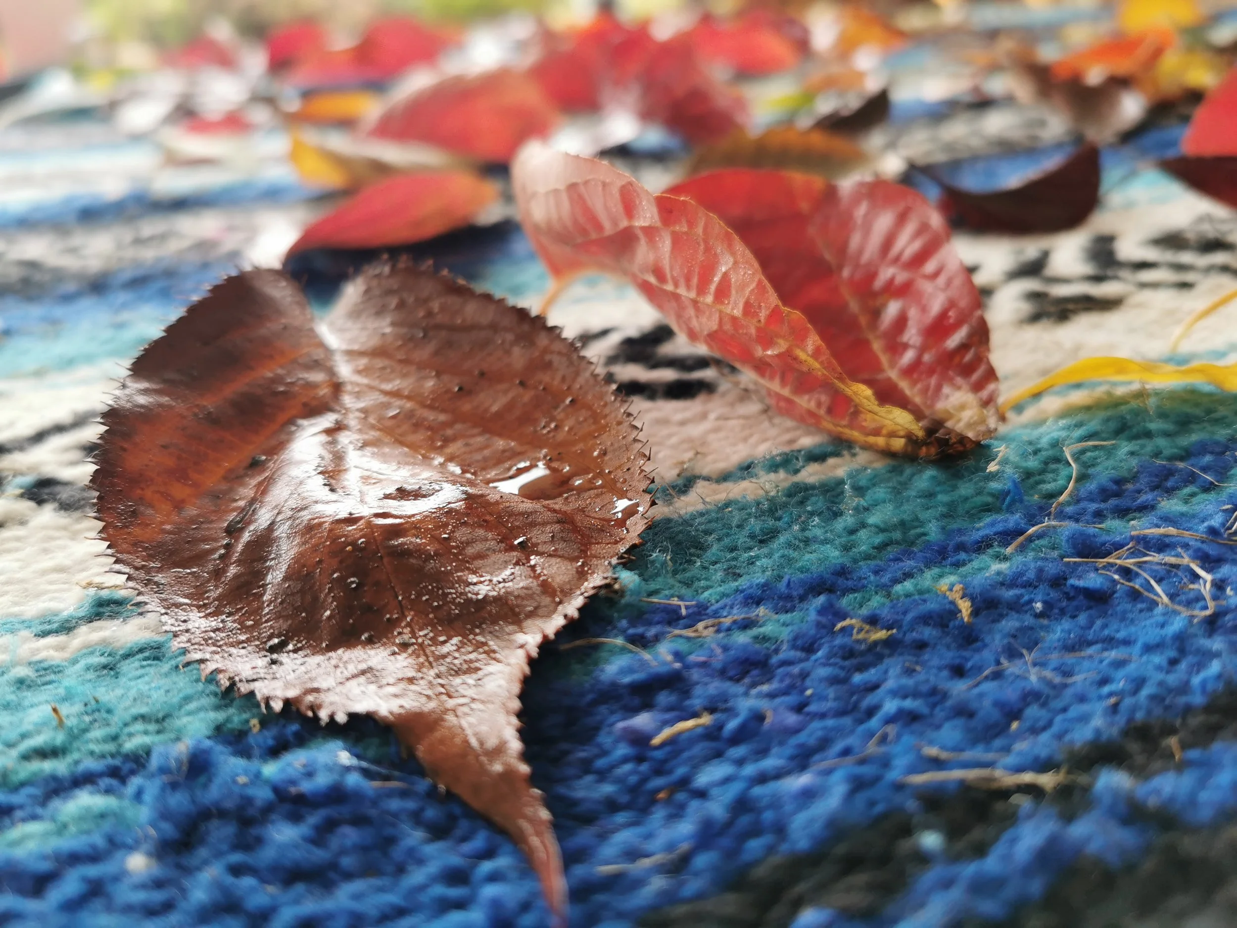 All About Us — Amelia House