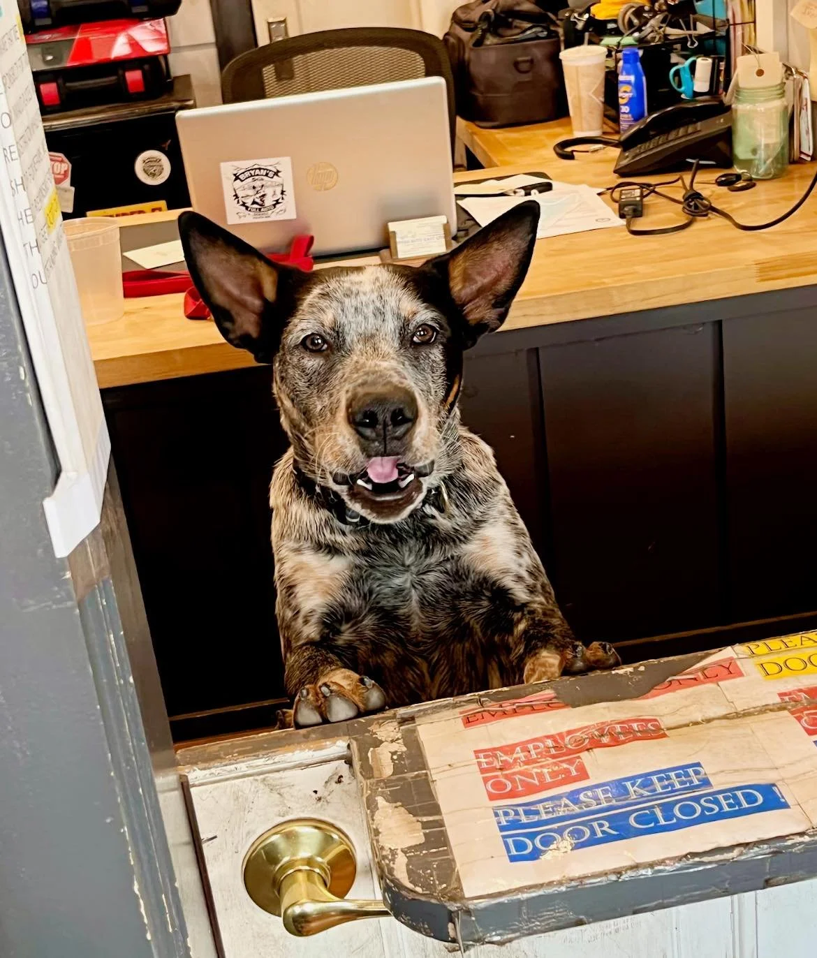 Bryan's Auto Rockaway