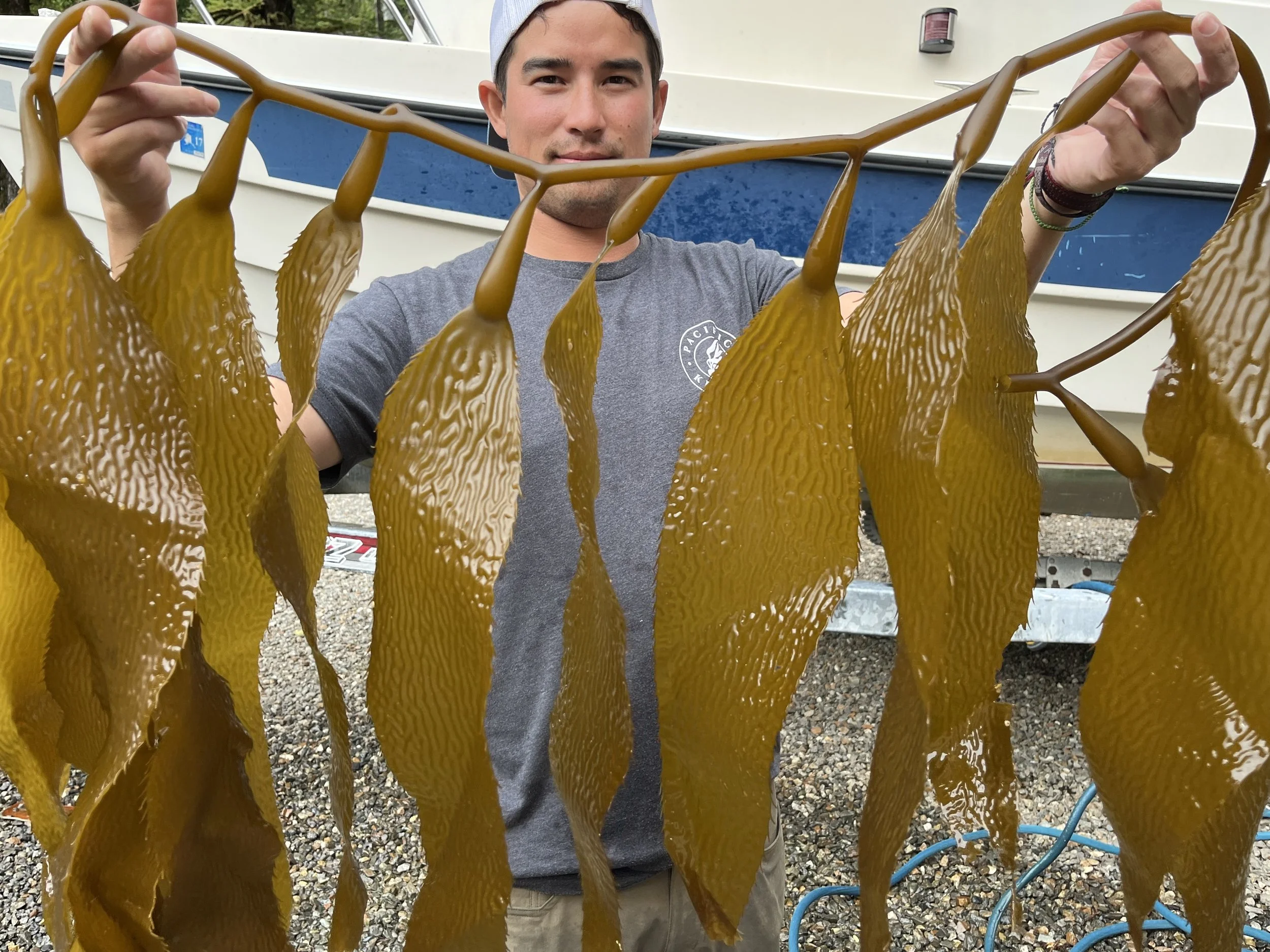 Pacific Kelp Co.