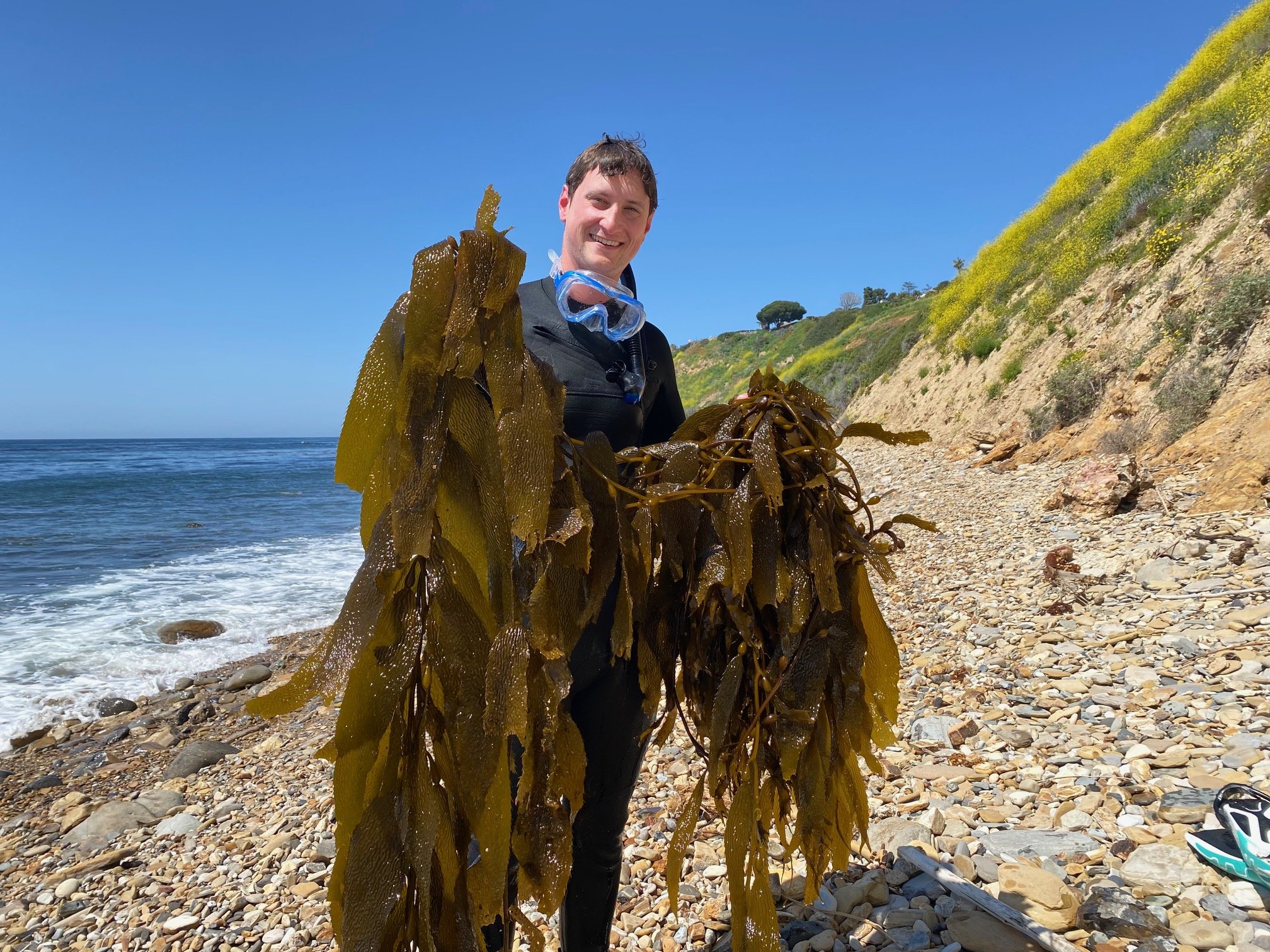 What we do — Pacific Kelp Co.