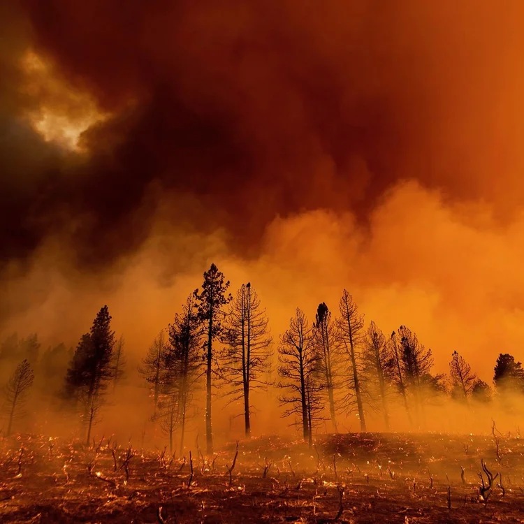 Fireswarm Solutions