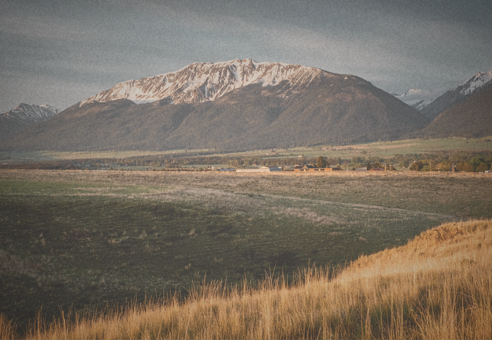 The Ranch — Stangel Bison Ranch