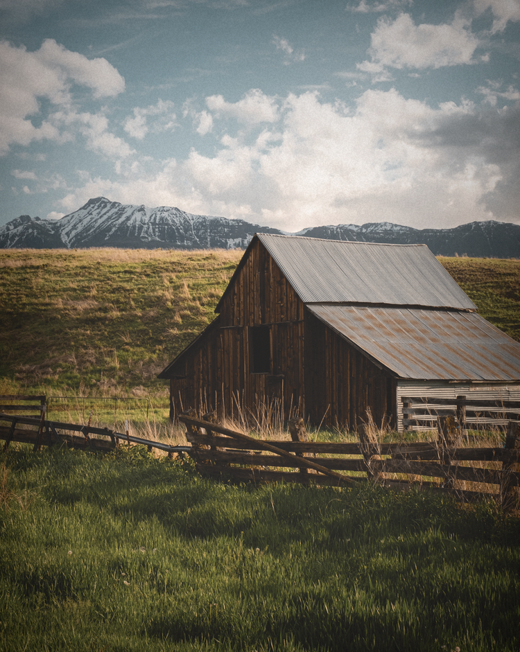 Stangel Bison Ranch
