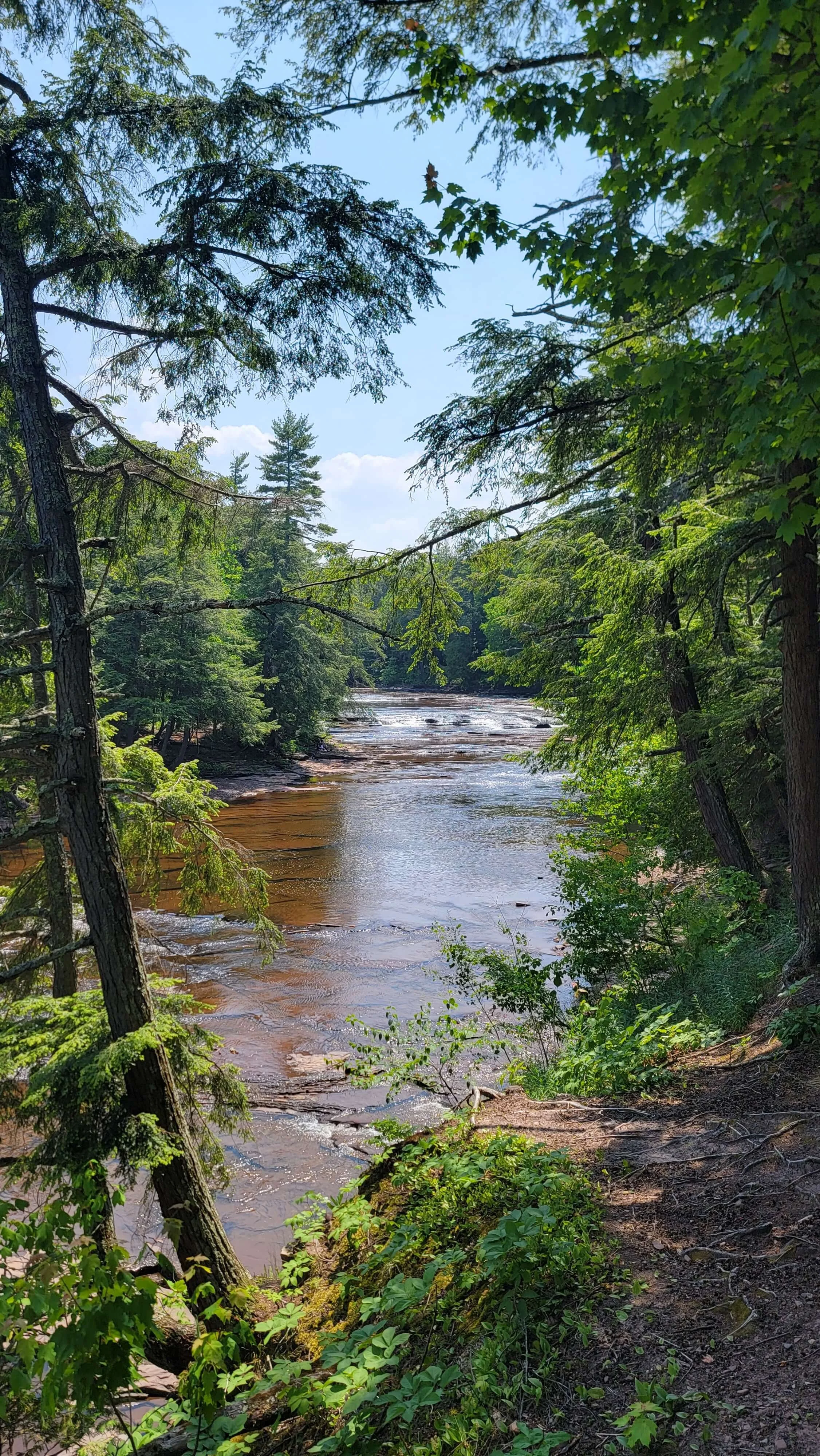 Feeling grateful… — Custom Ideation