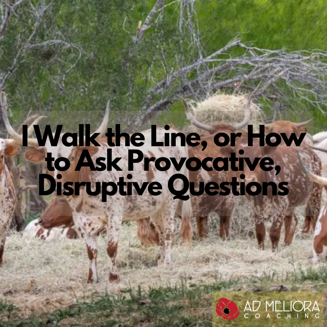 Resources — Ad Meliora Coaching for Academics