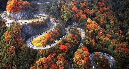 Slow Creek RV Park