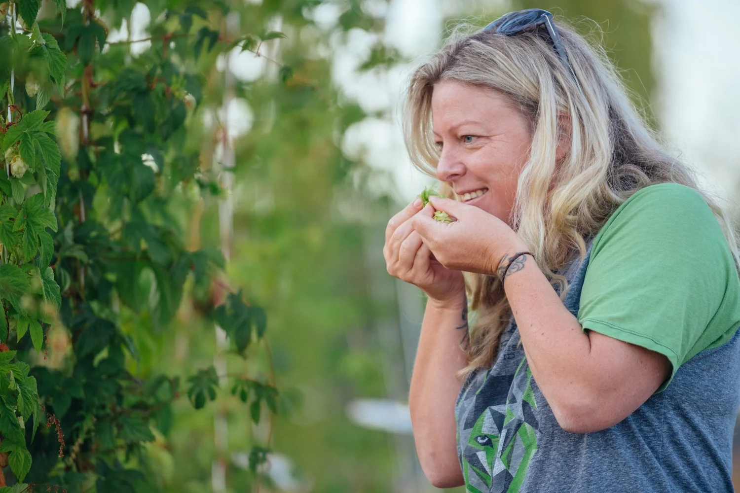 Our Hop Farms — Hop Revolution