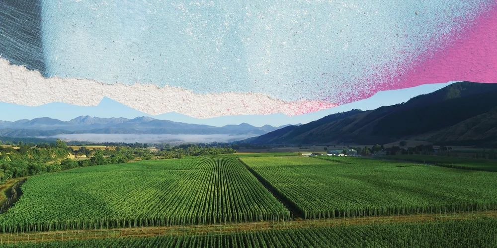 Our Hop Farms — Hop Revolution