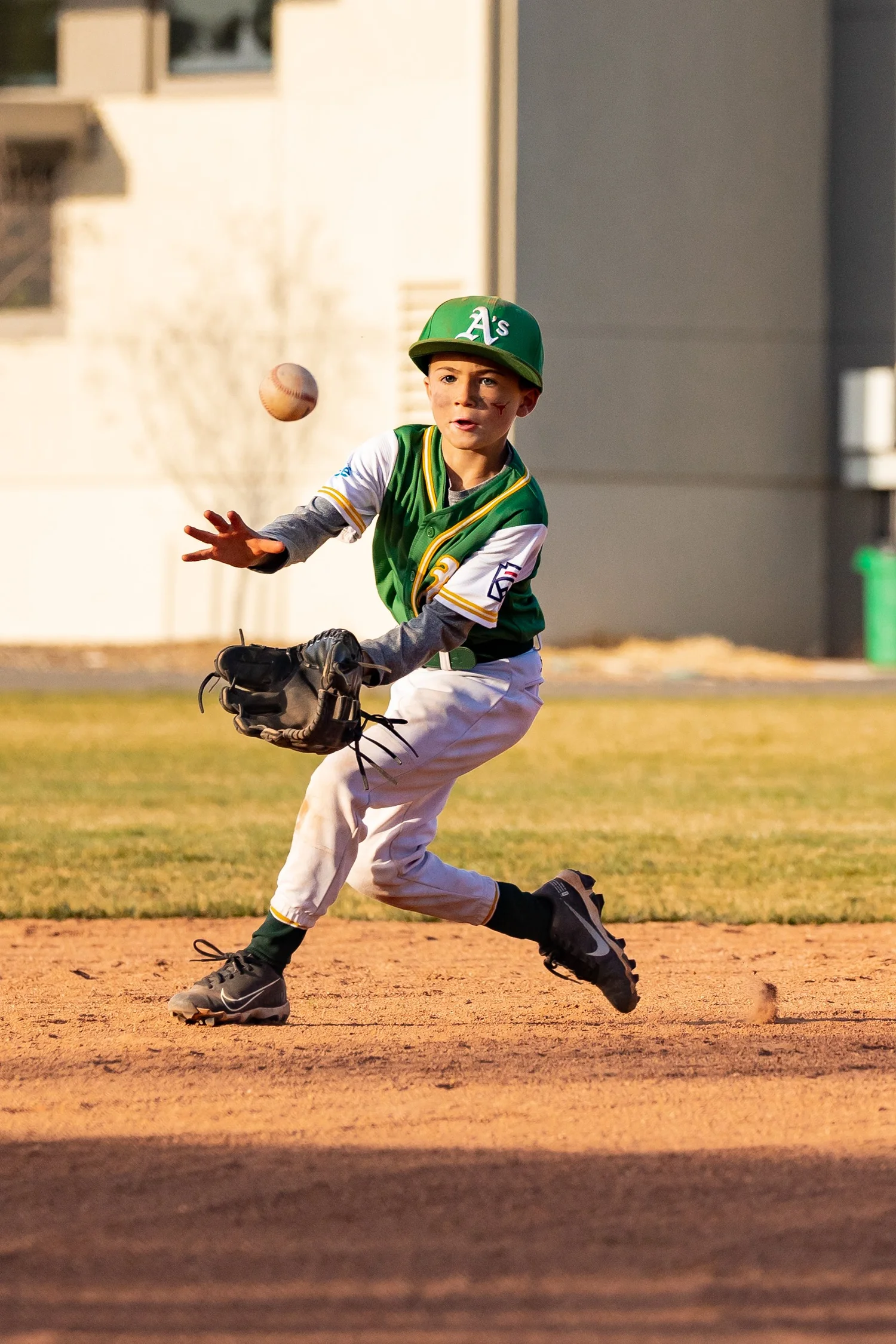 Divisions — San Ramon Valley Little League