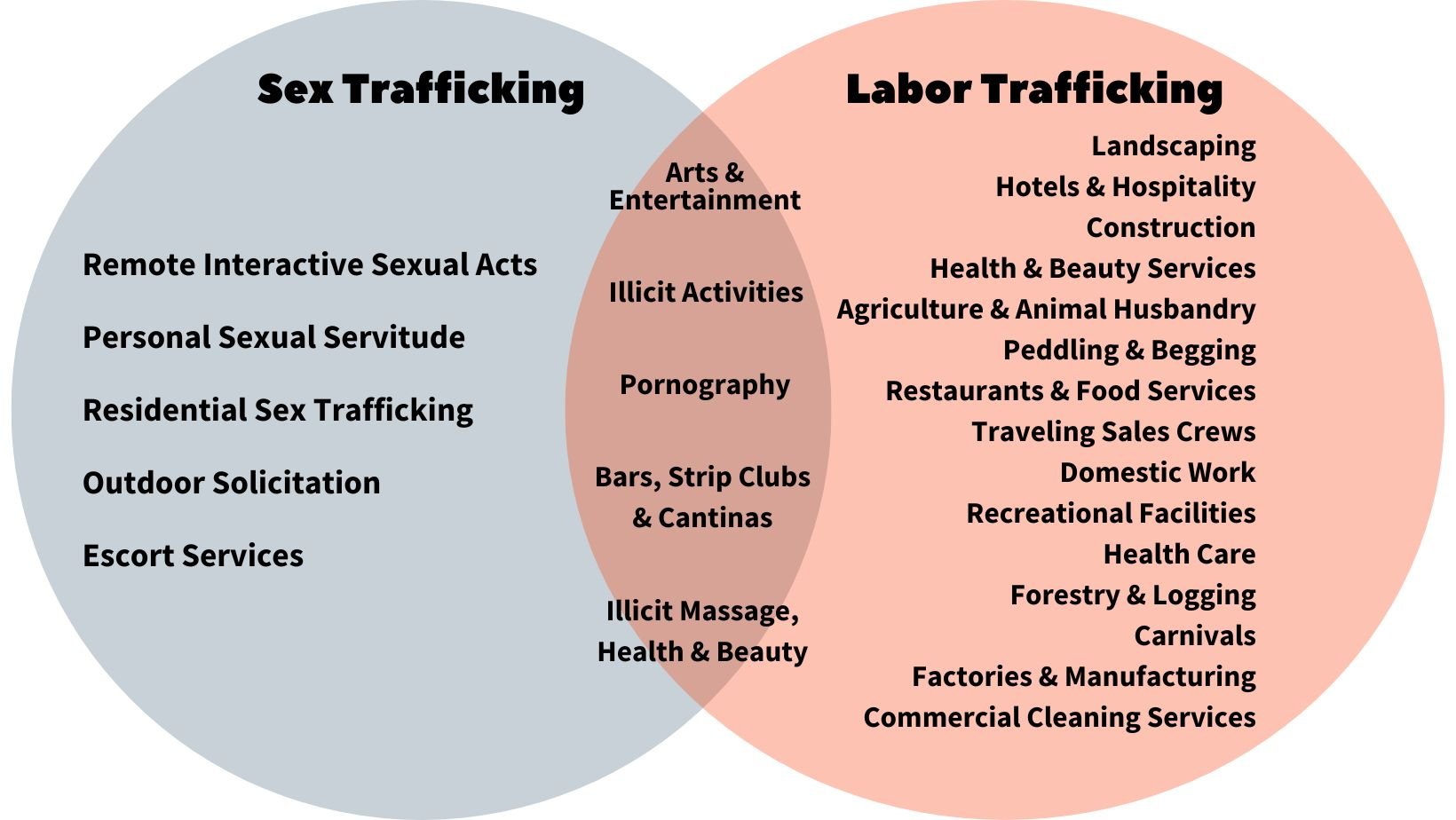 January Is Human Trafficking Awareness Month — Ywca Northeast Kansas Survivor Services
