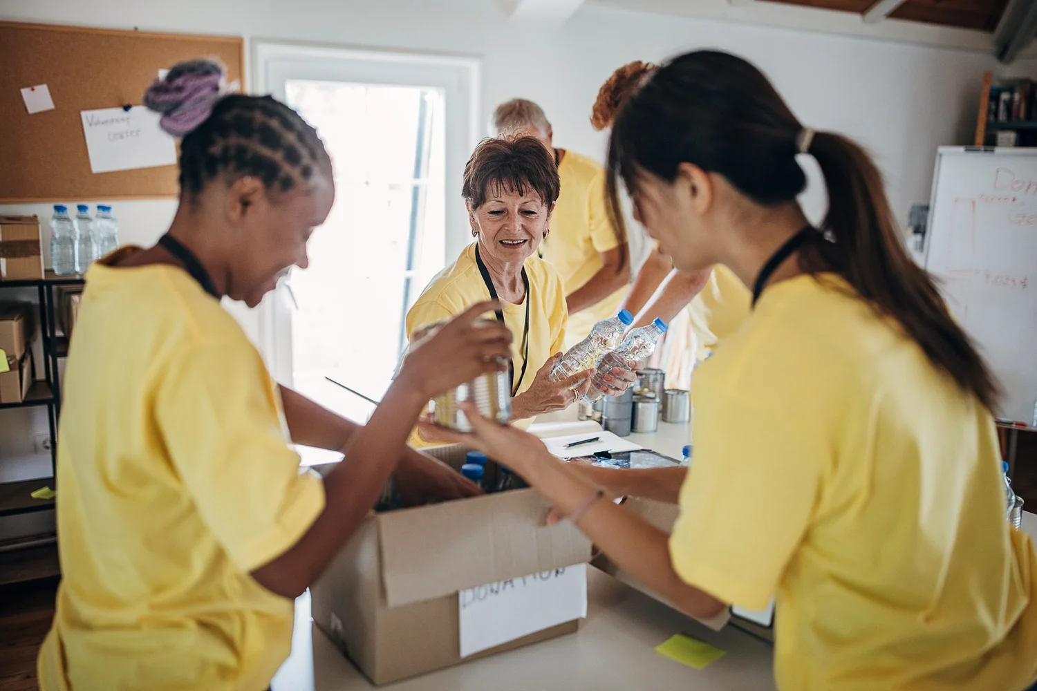 Volunteer — YWCA Clark County | Domestic Violence and Sexual Assault ...