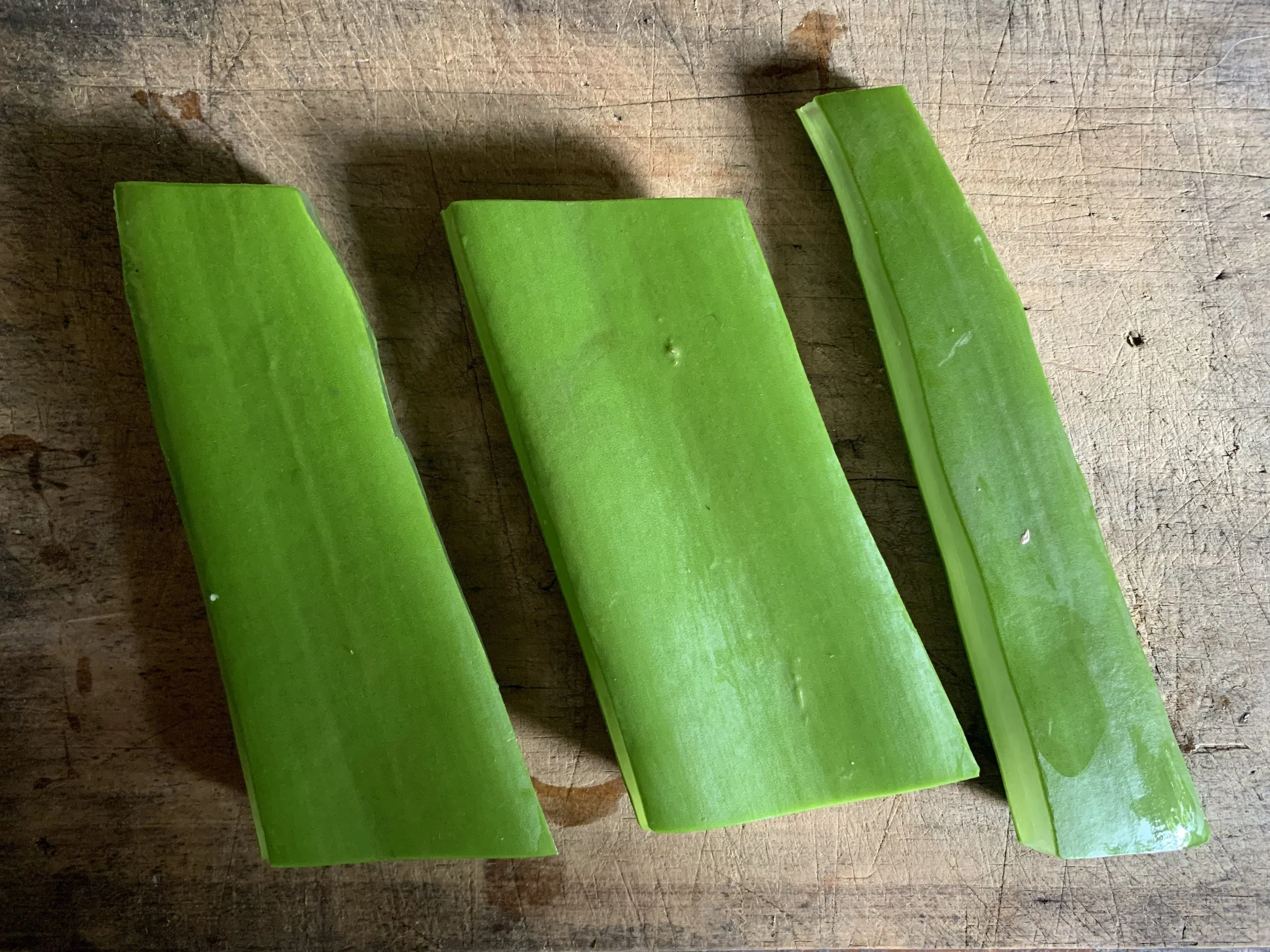 Aloe Vera Water Recipe (Agua de Savila) — Yoga Selvática