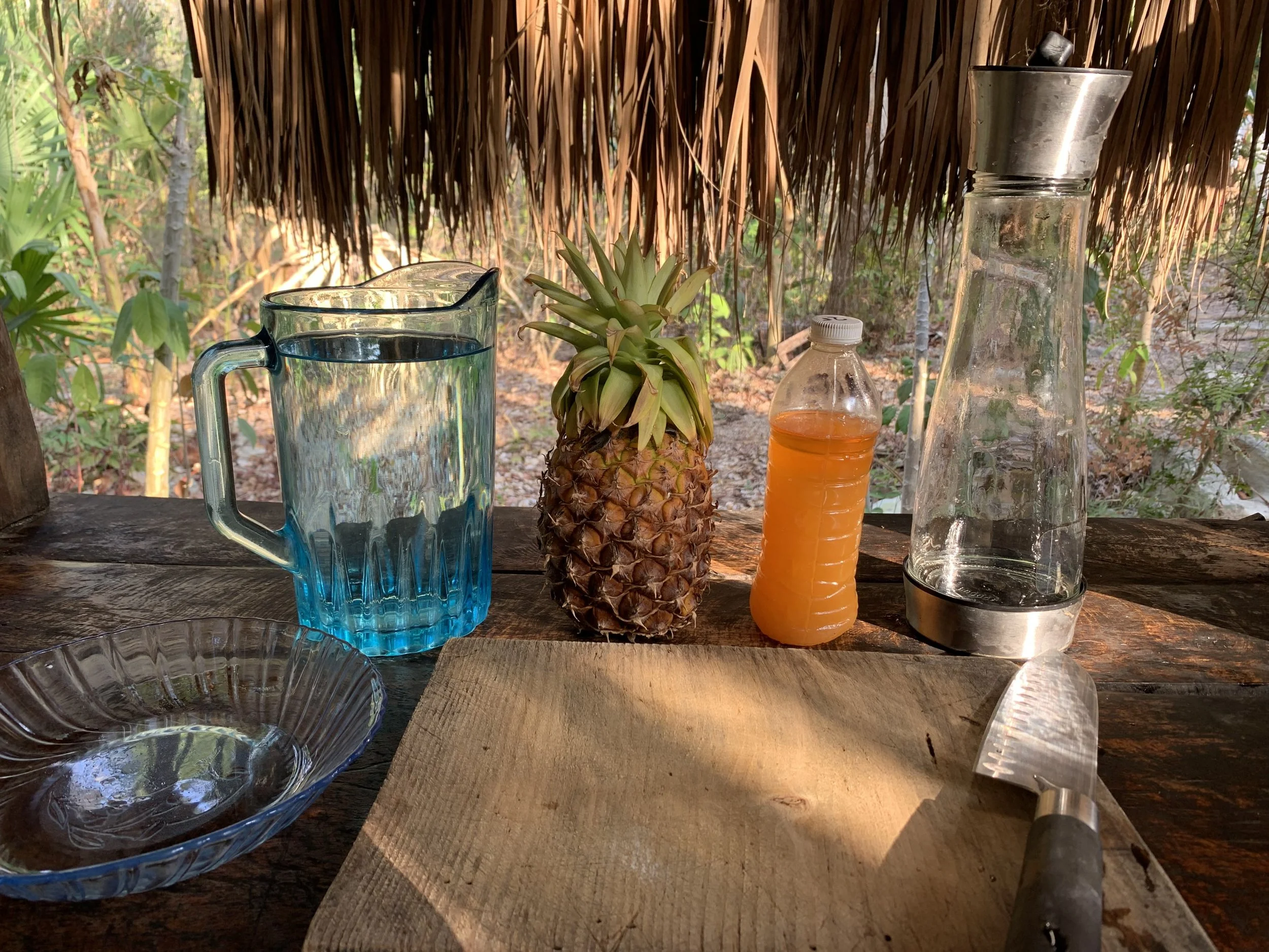 DIY Pineapple Probiotic — Yoga Selvática