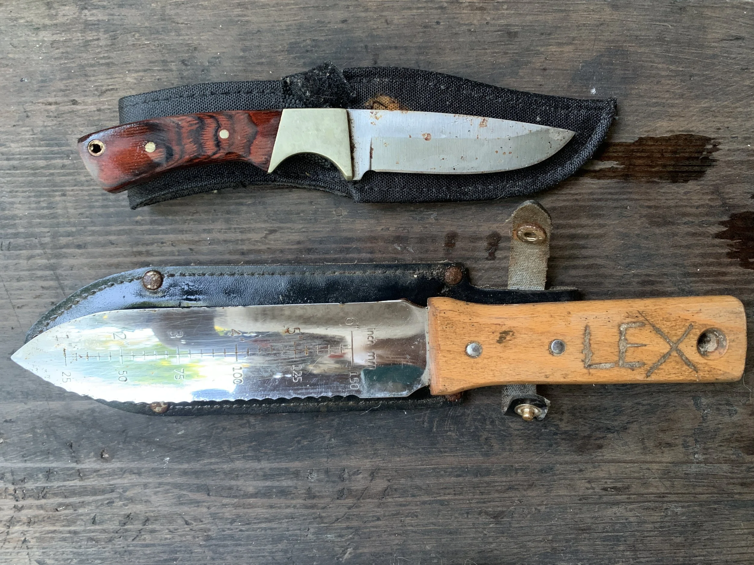 Beginner's Guide to Herbalism — Yoga Selvática