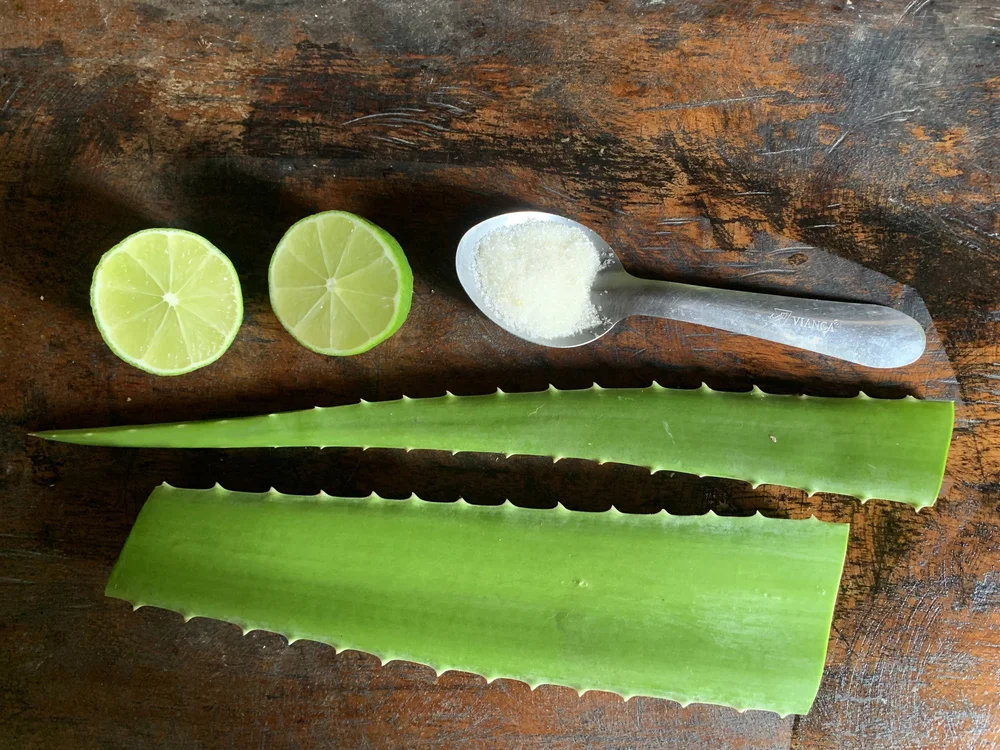 Aloe Vera Water Recipe (Agua de Savila) — Yoga Selvática