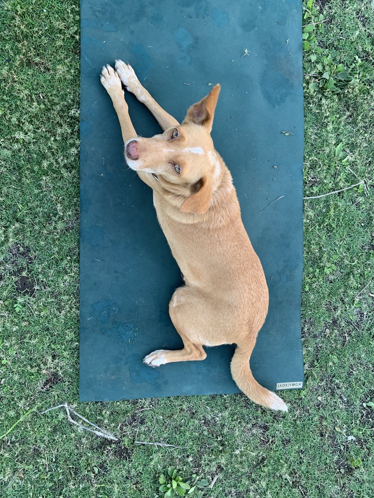 Handmade Shop — Yoga Selvática