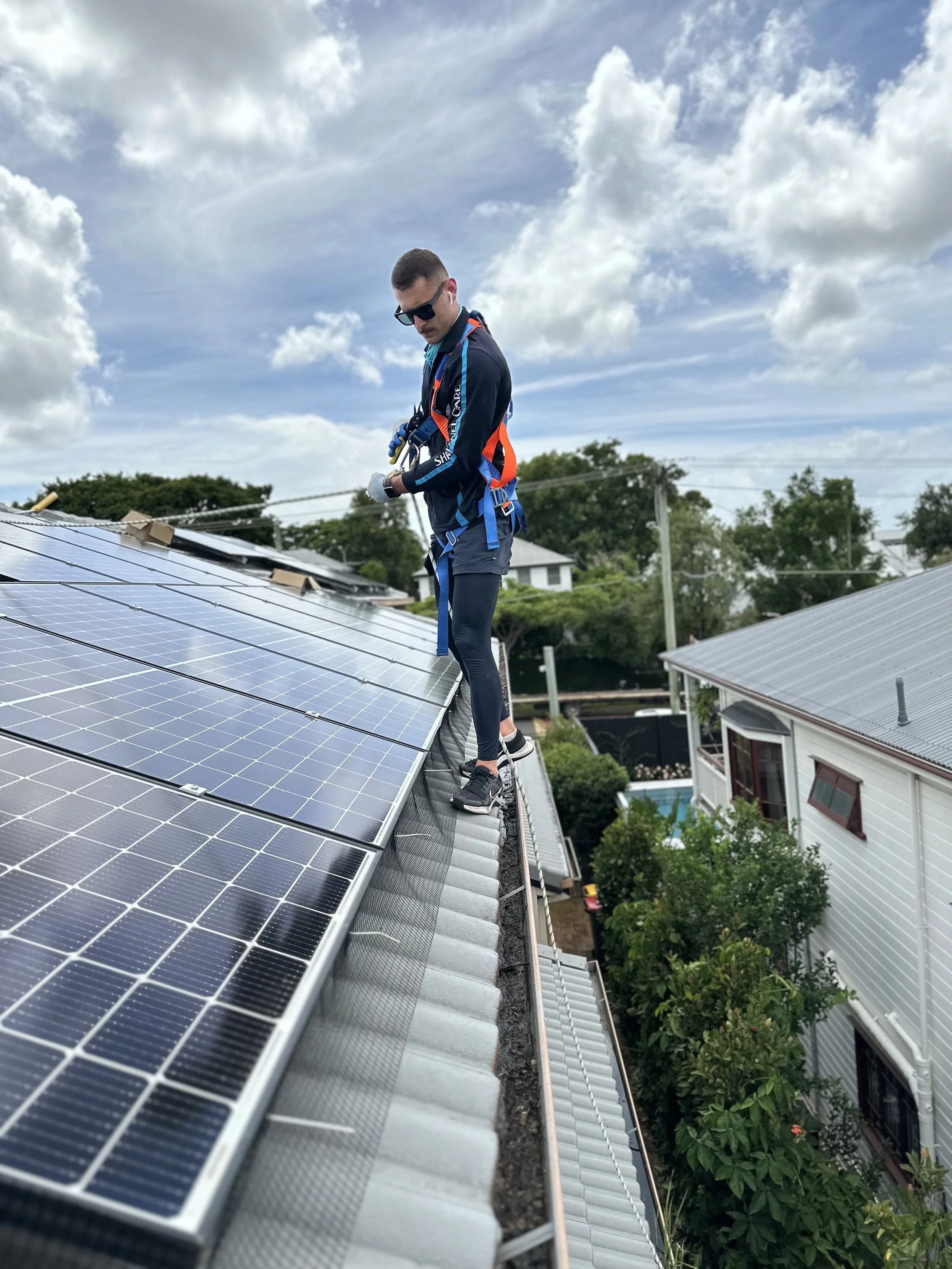 Bird Proofing Solar Panels Brisbane – Shine Panel Care