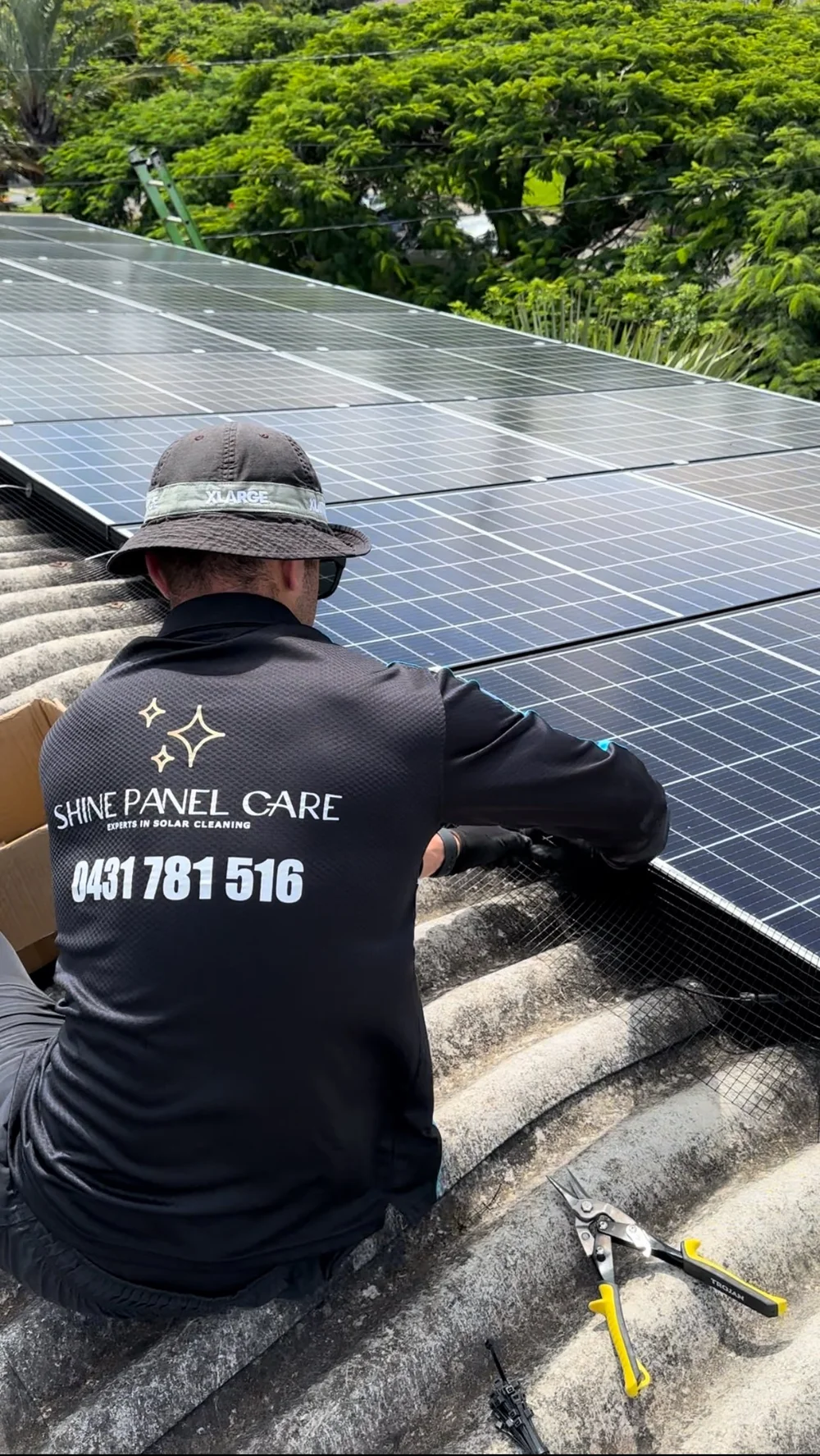 Bird Proofing Solar Panels Brisbane – Shine Panel Care