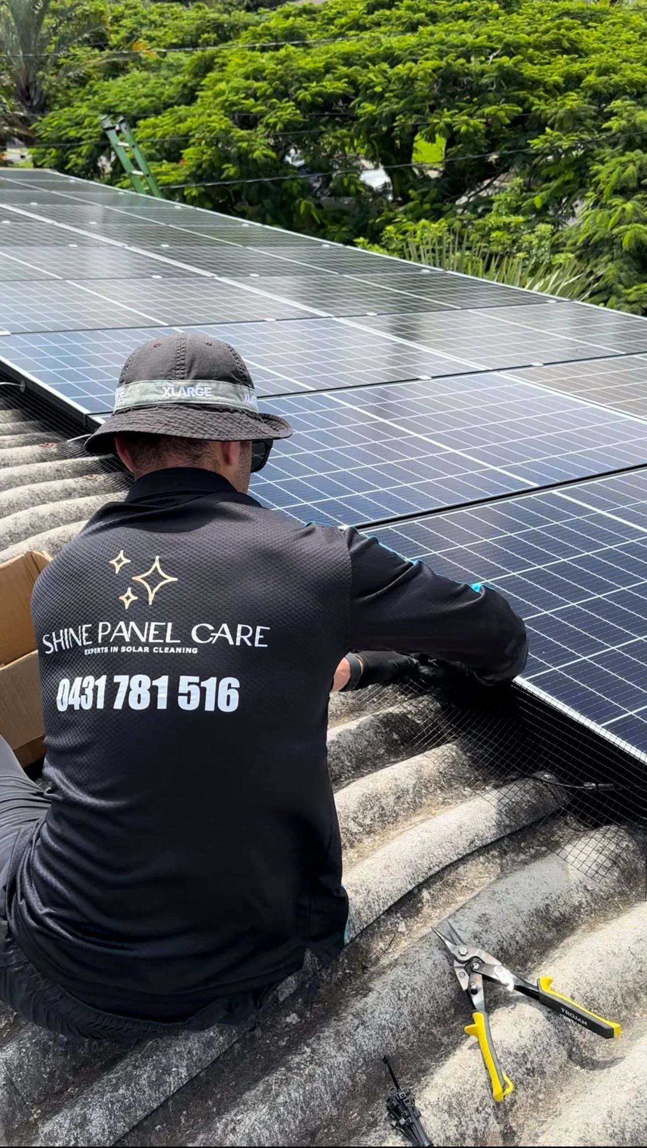 Bird Proofing Solar Panels Brisbane – Shine Panel Care