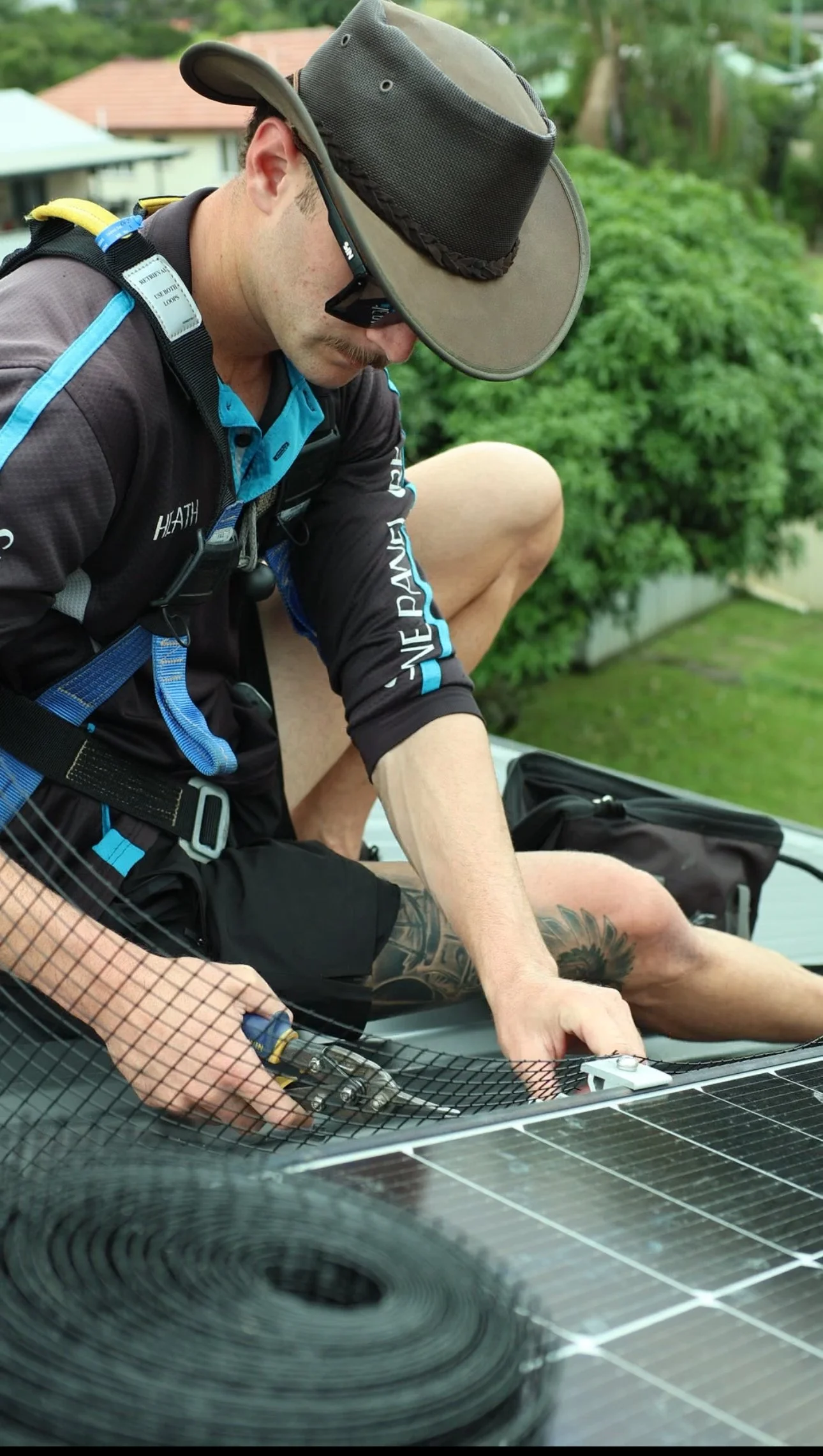 Bird Proofing Solar Panels Brisbane – Shine Panel Care