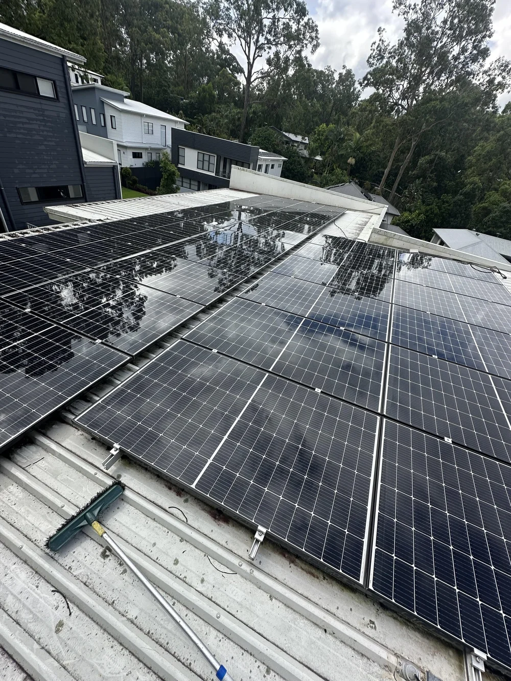 Bird Proofing Solar Panels Brisbane – Shine Panel Care