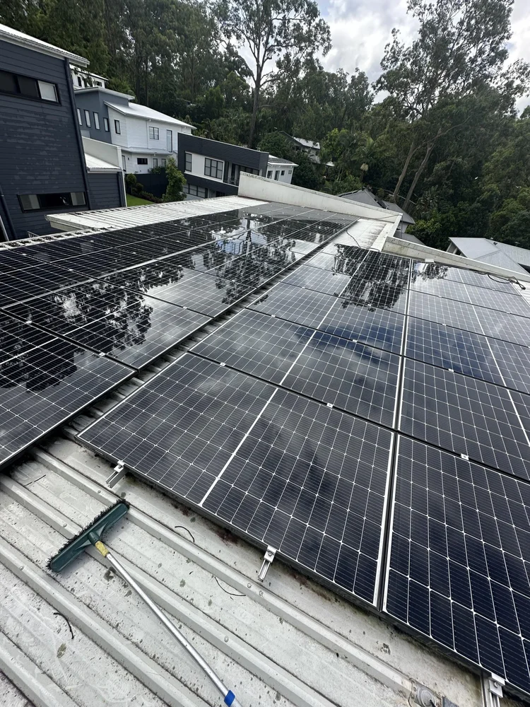 Bird Proofing Solar Panels Brisbane – Shine Panel Care