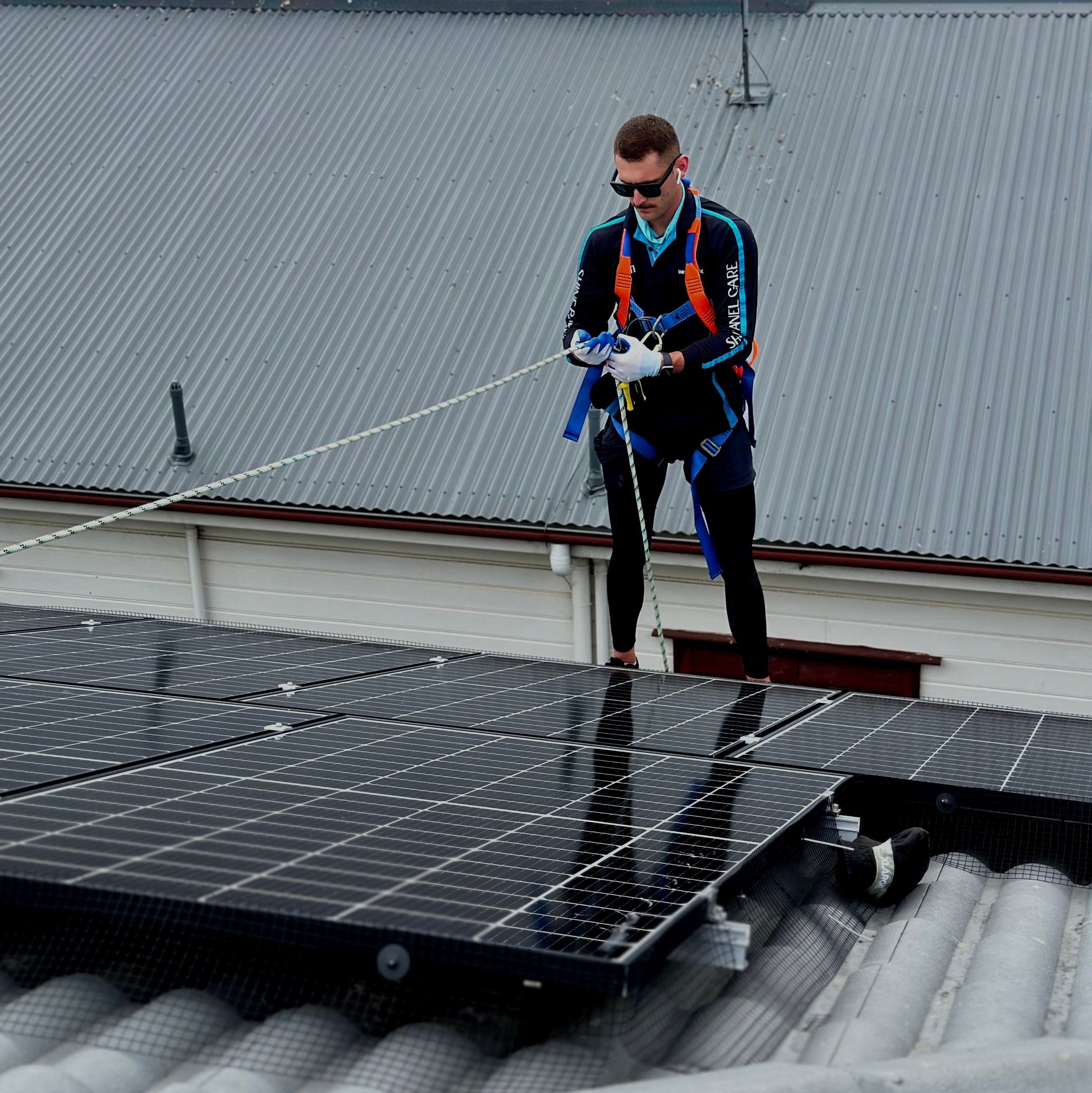 Bird Proofing for Solar Panels Brisbane!
