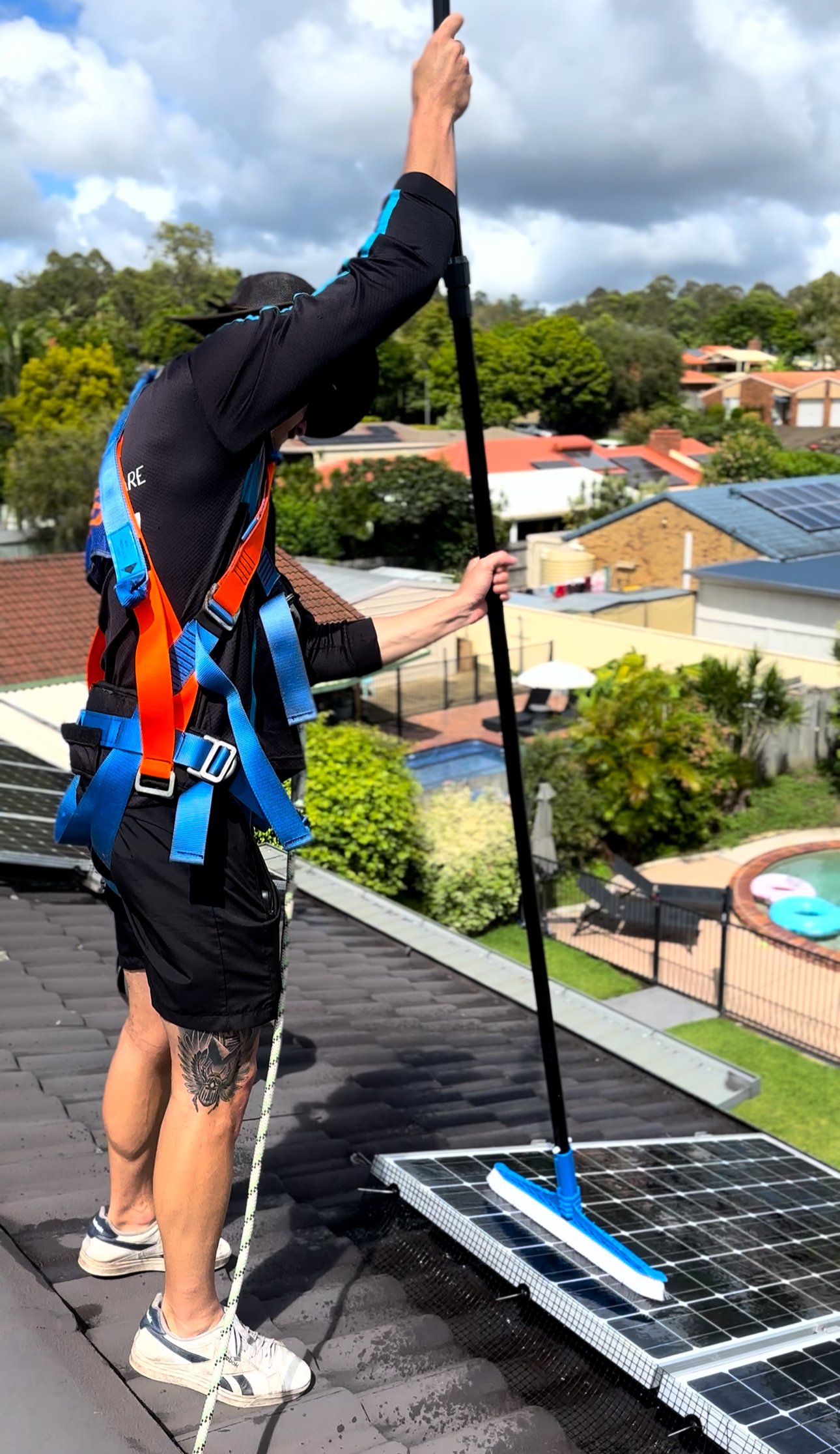 Bird Proofing Solar Panels Brisbane – Shine Panel Care