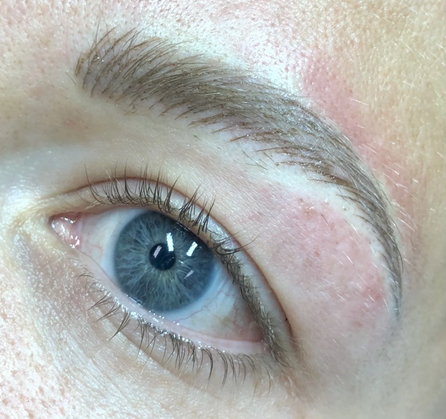 Gallery 1 — Eyedentity Studio