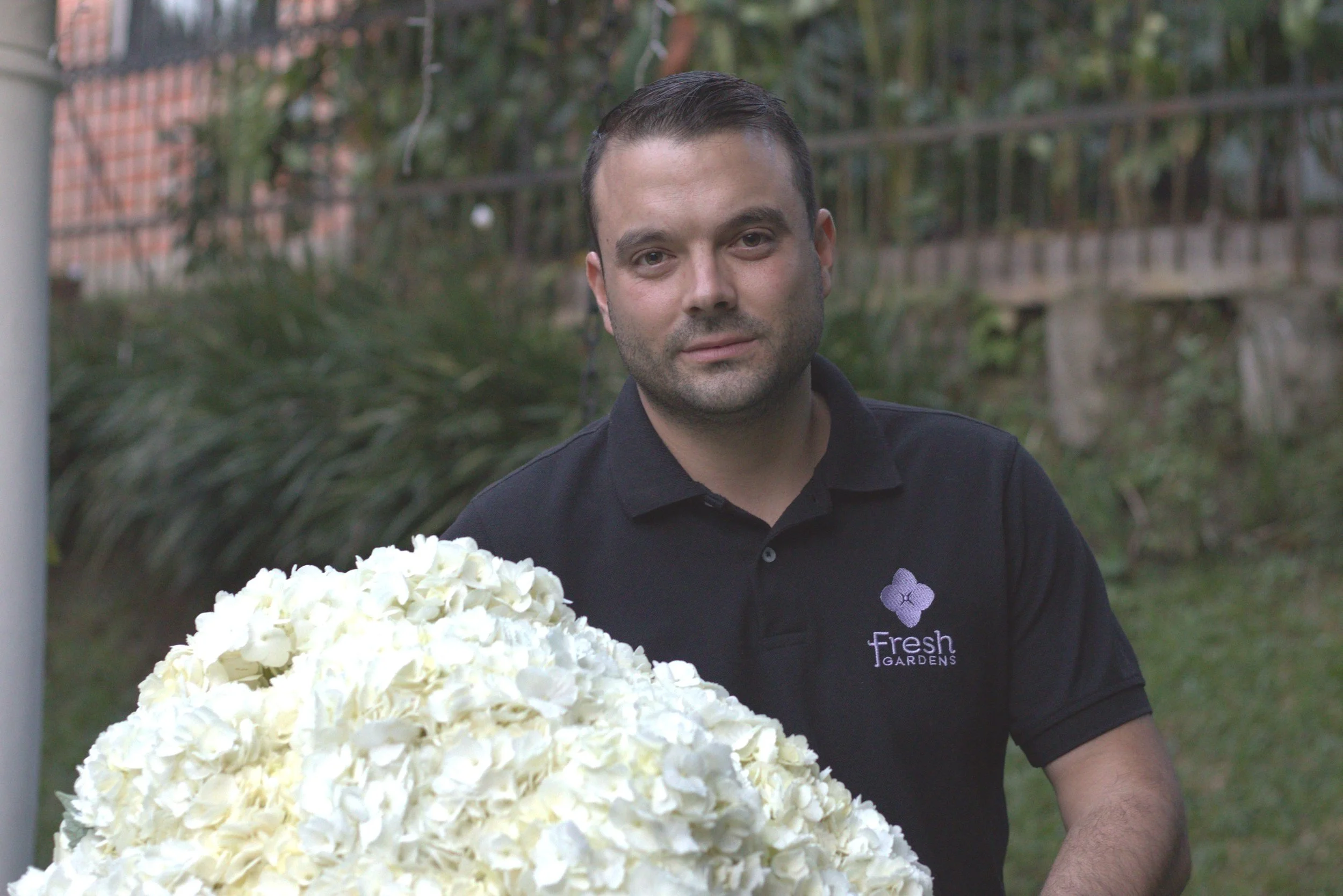 Colombian Hydrangeas Team — Fresh Gardens