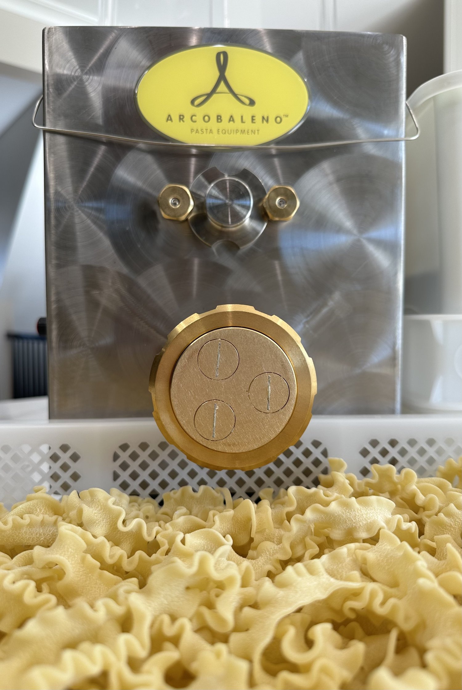 AEX18 - Extruded Pasta Recipe - Forza Pasta