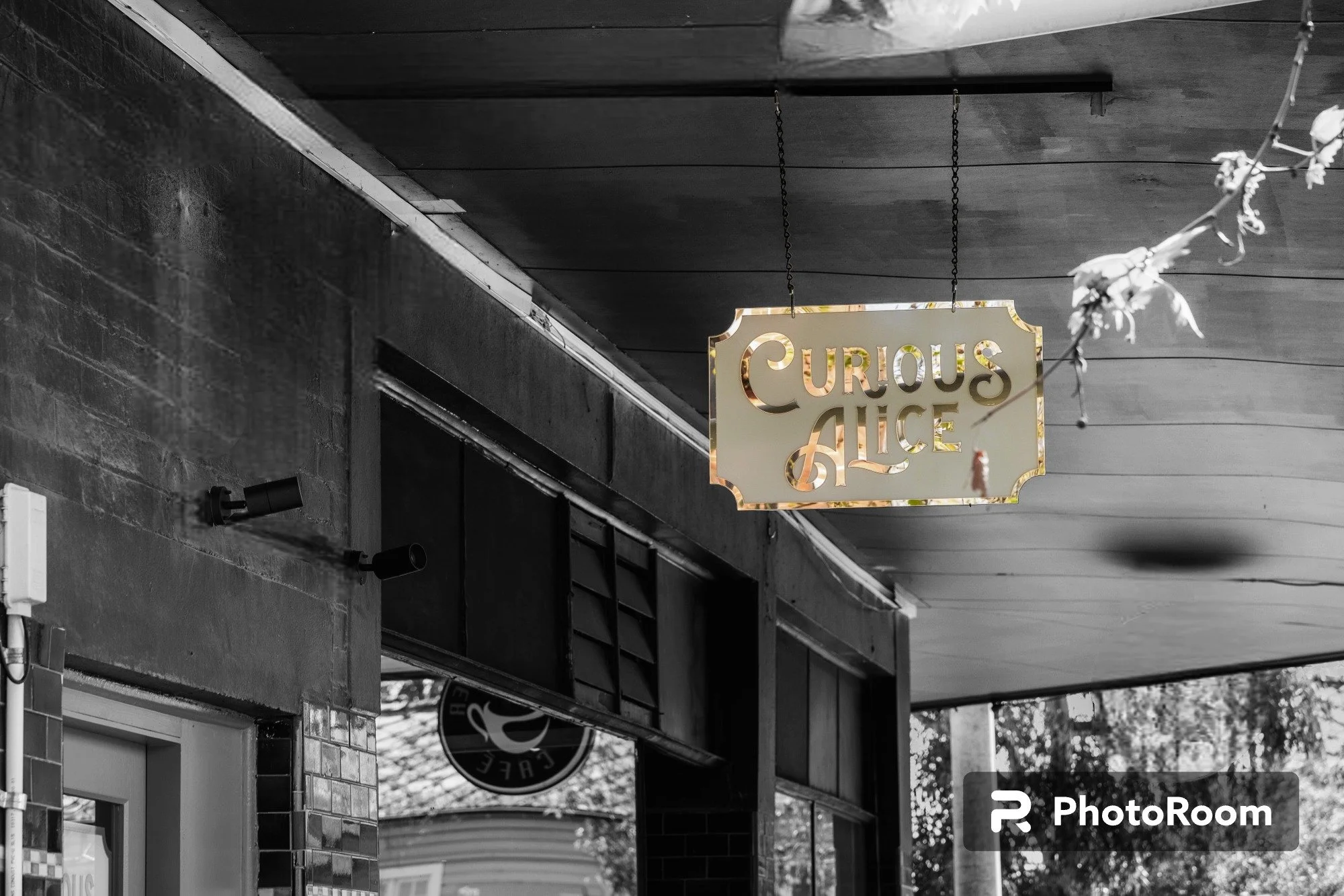 Curious Alice Functions-Gallery