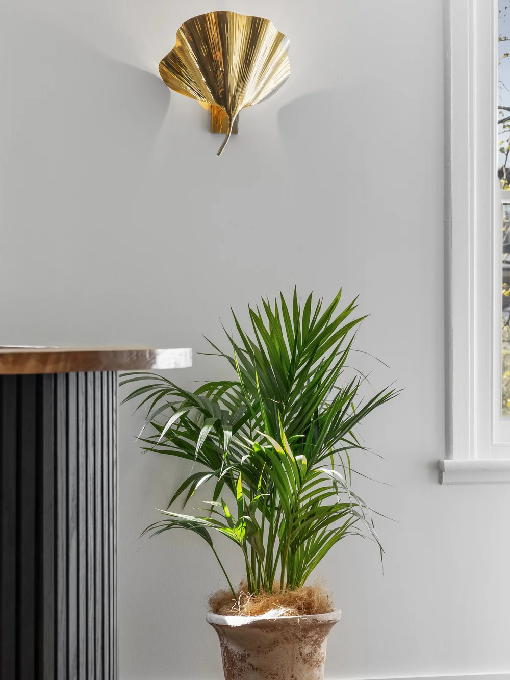 Curious Alice Functions-Room Hire