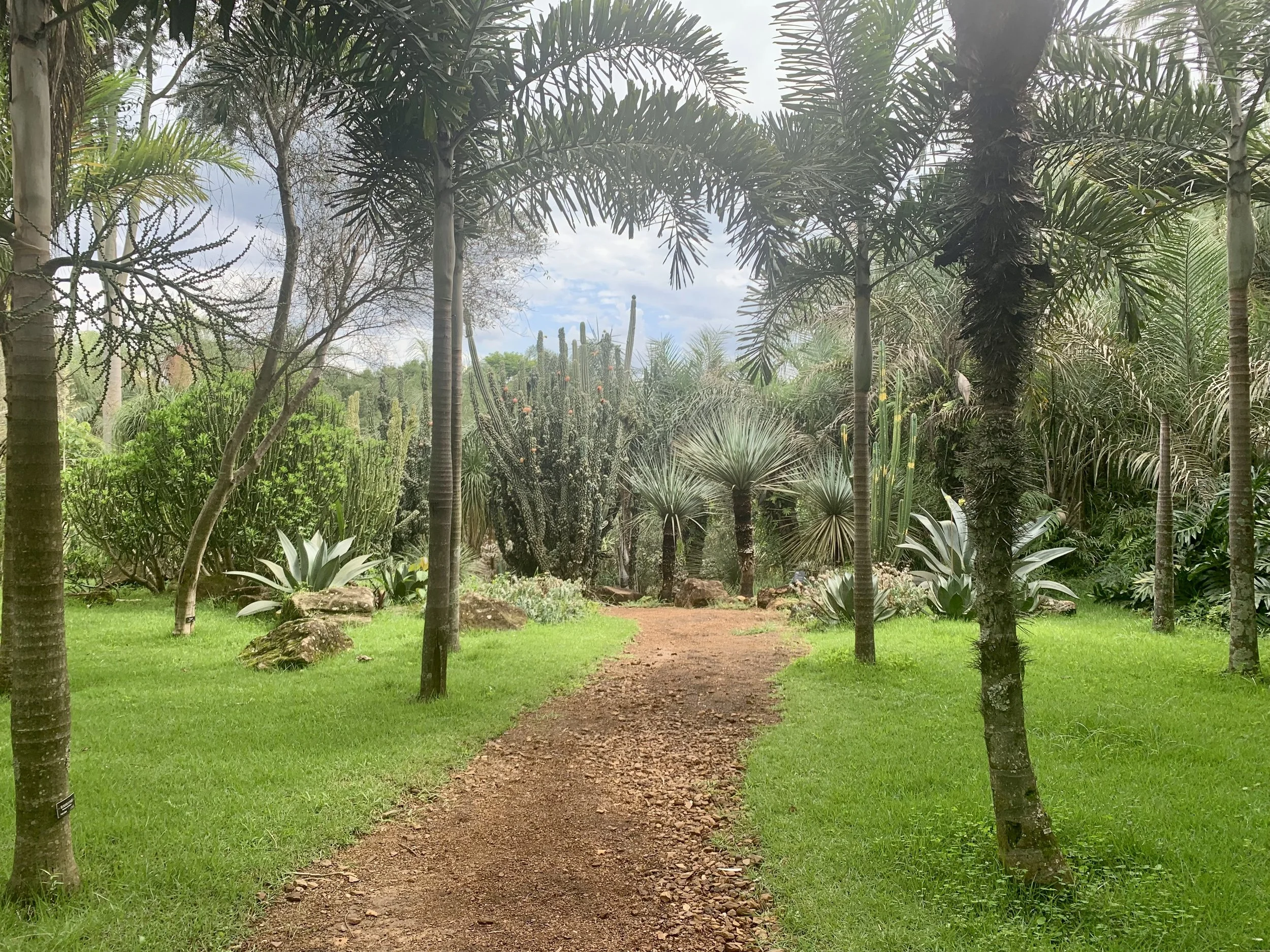 Services — Blue Trees Counselling and Psychotherapy