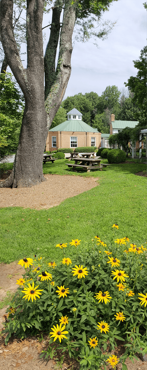 Our Story — Sandy Spring Museum