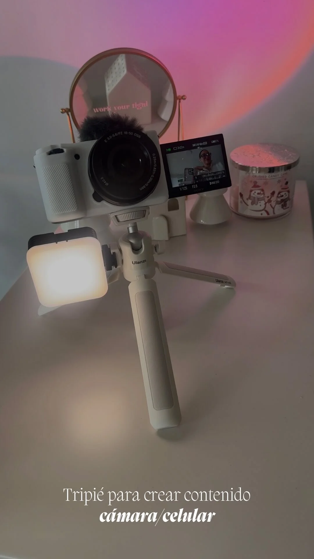 Notion Weekly Free Planner — gabby flores