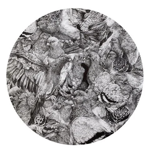 Jessica Heywood — Create Sheffield