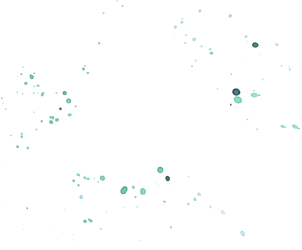 Contact Us — Create Sheffield