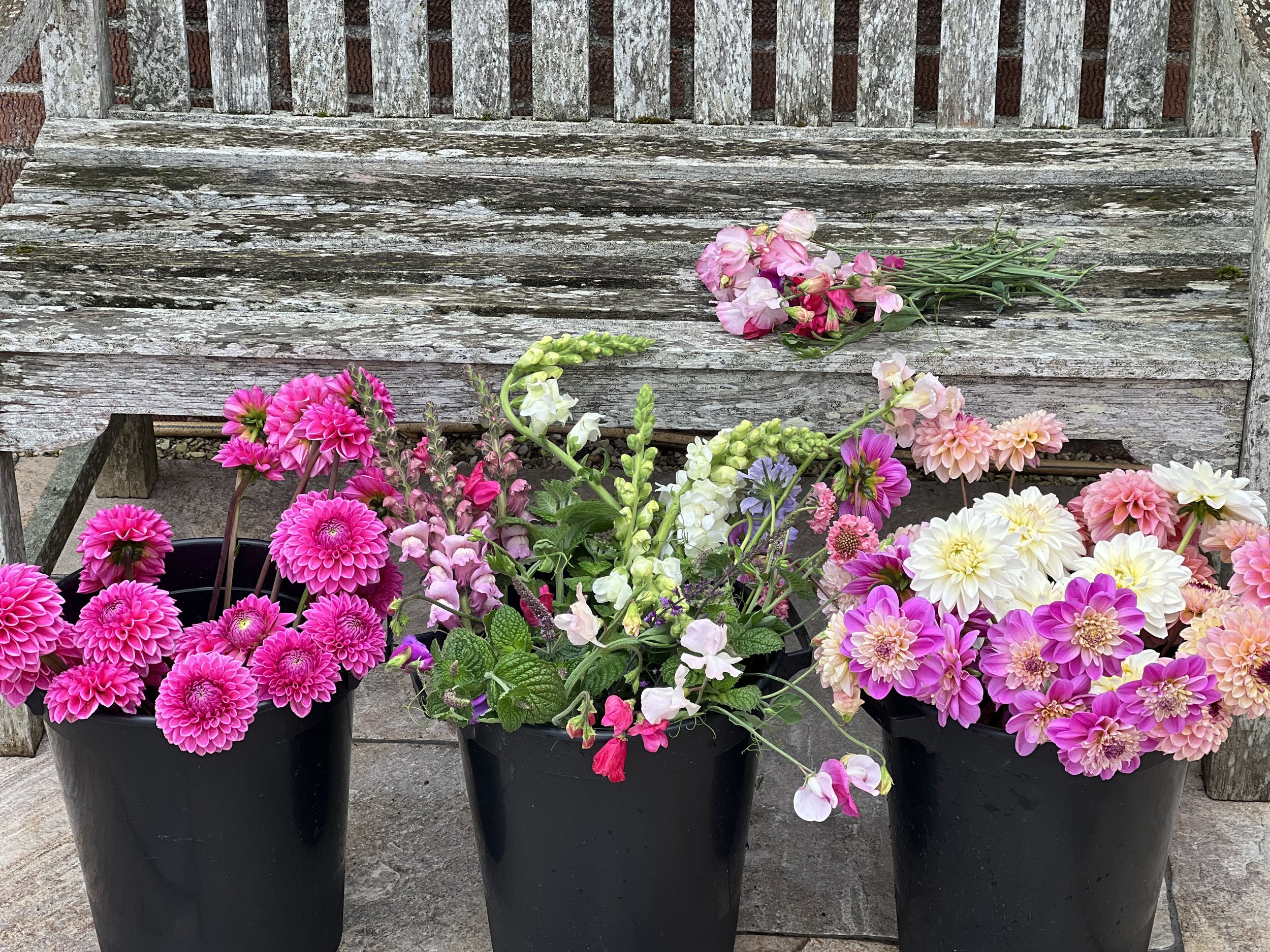 Bulb to Bunch Florist Tidworth | Florist and flower farmer