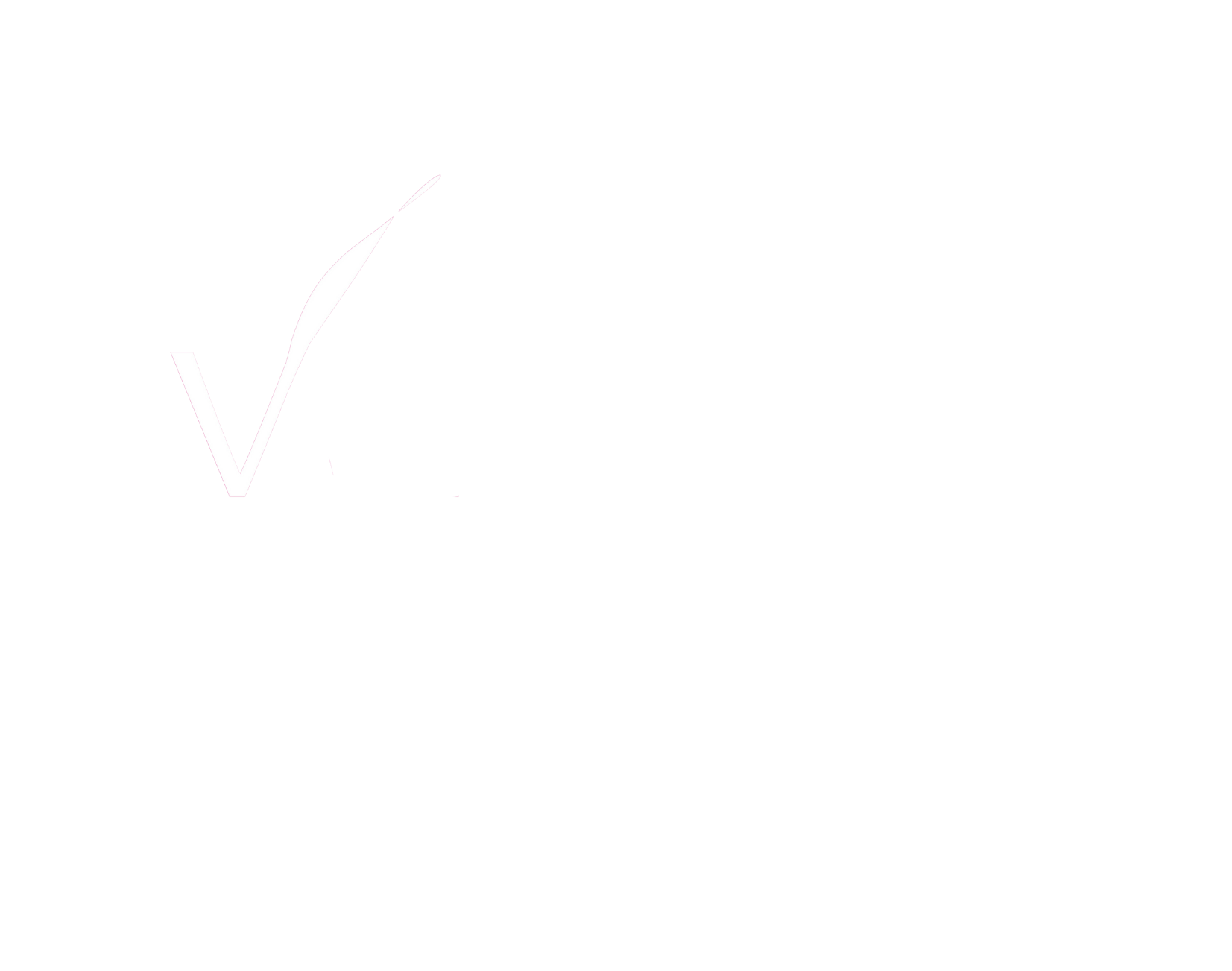 Viva Circus Festival — Viva Vertical