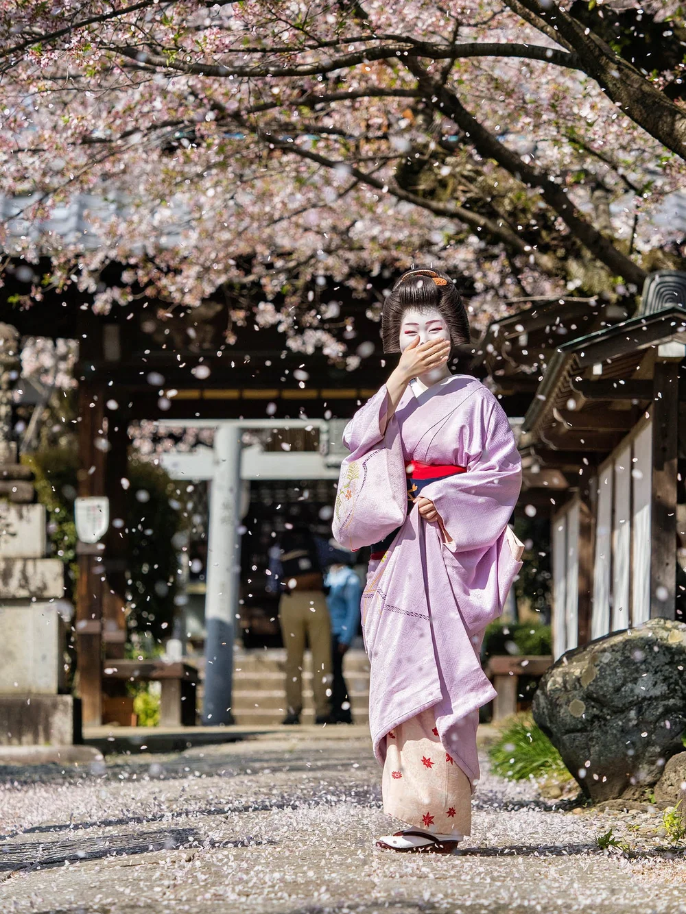 Japan Photo Tour - 2026 - Photograph stunning Mt. Fuji, Tokyo, Kyoto ...