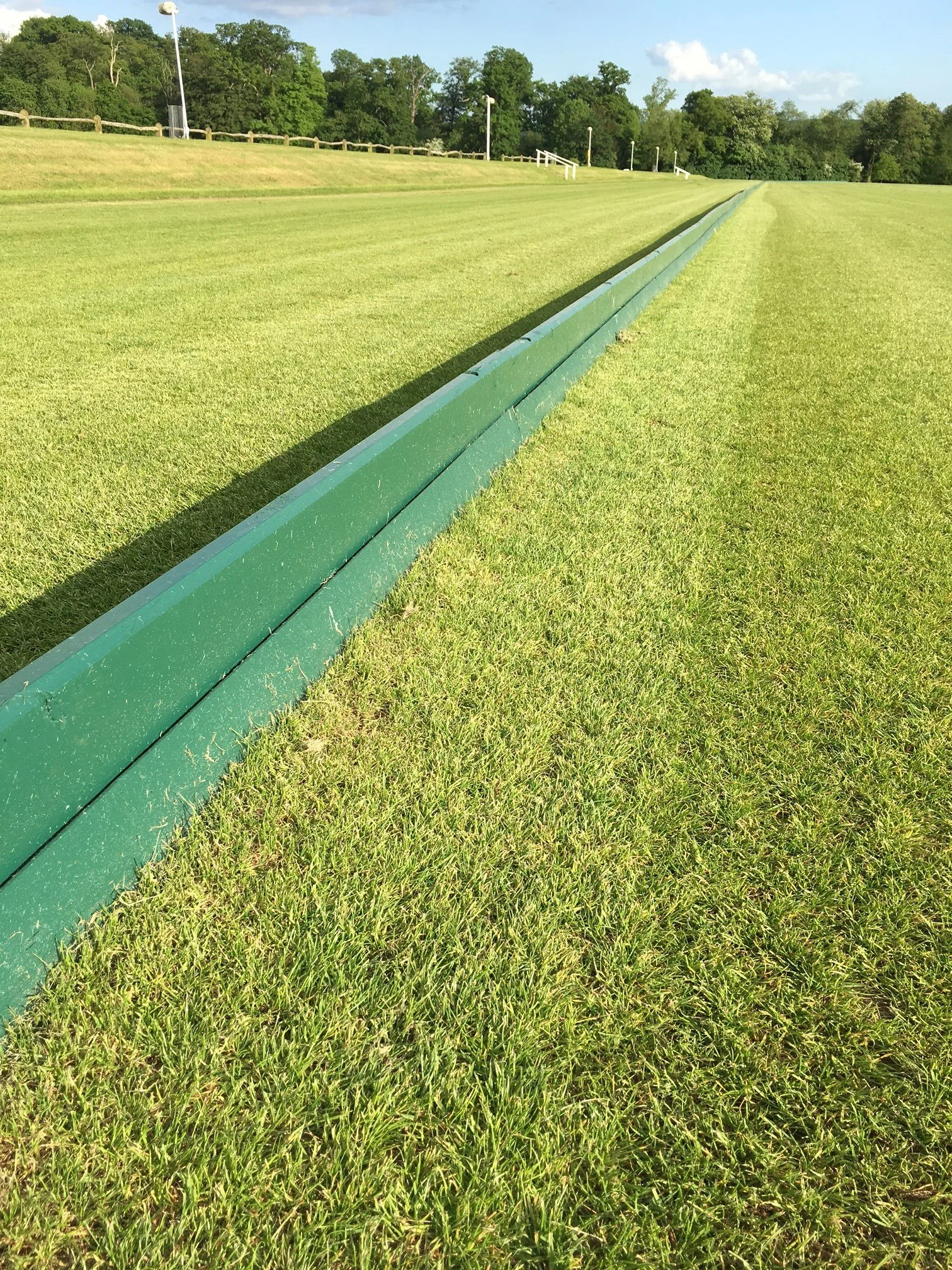 Homegrown Douglas Fir Polo Pitch Boards – Sawn Timber — W.L West & Sons